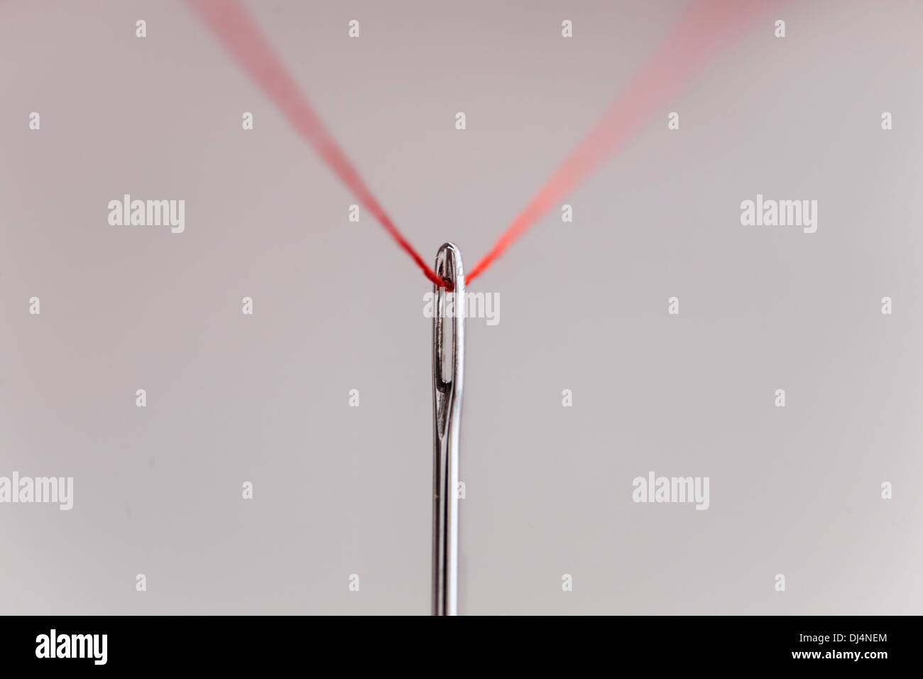 A needle hanging on a red thread on white background Stock Photo - Alamy
