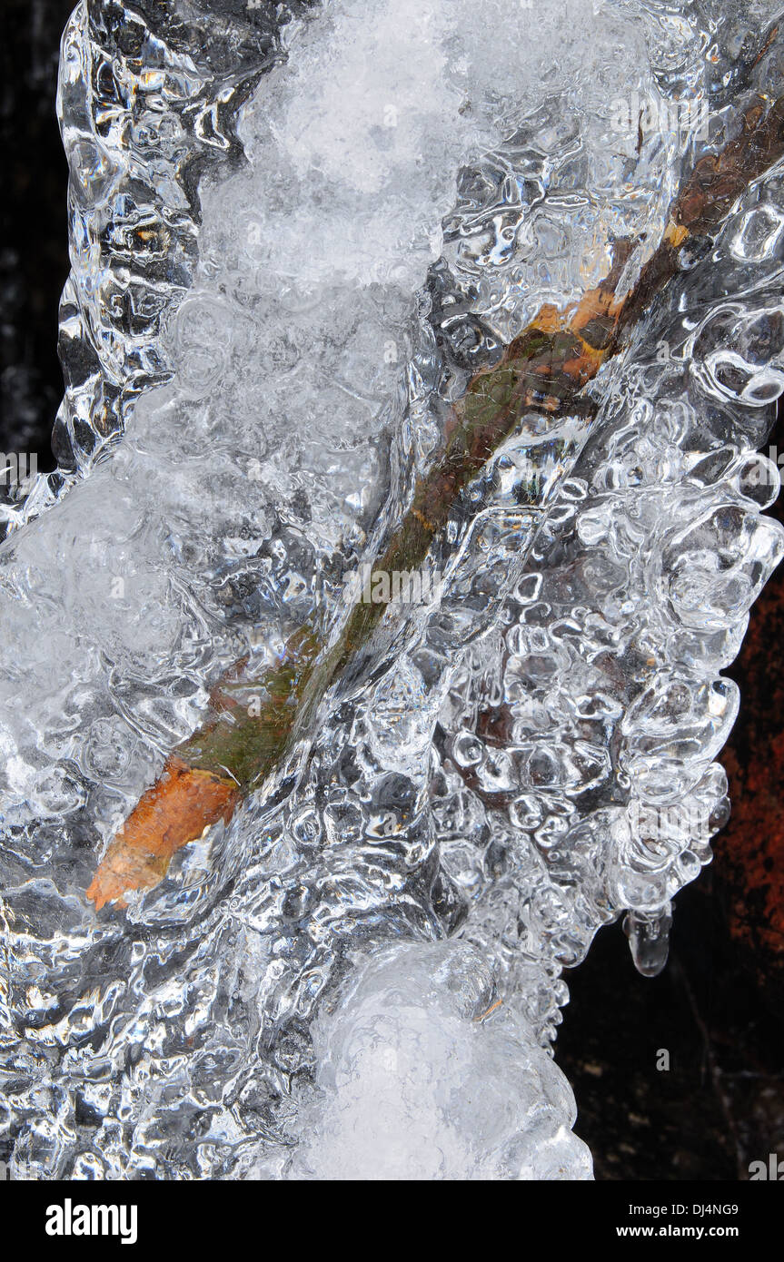 Frosted bud enclosed Stock Photo - Alamy