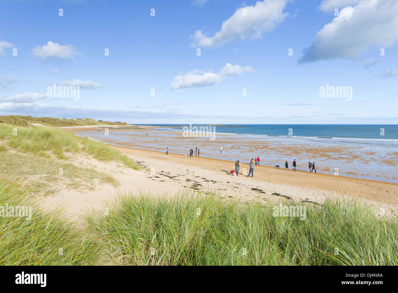 Embleton Bay, Northumberland, England, UK Stock Photo - Alamy