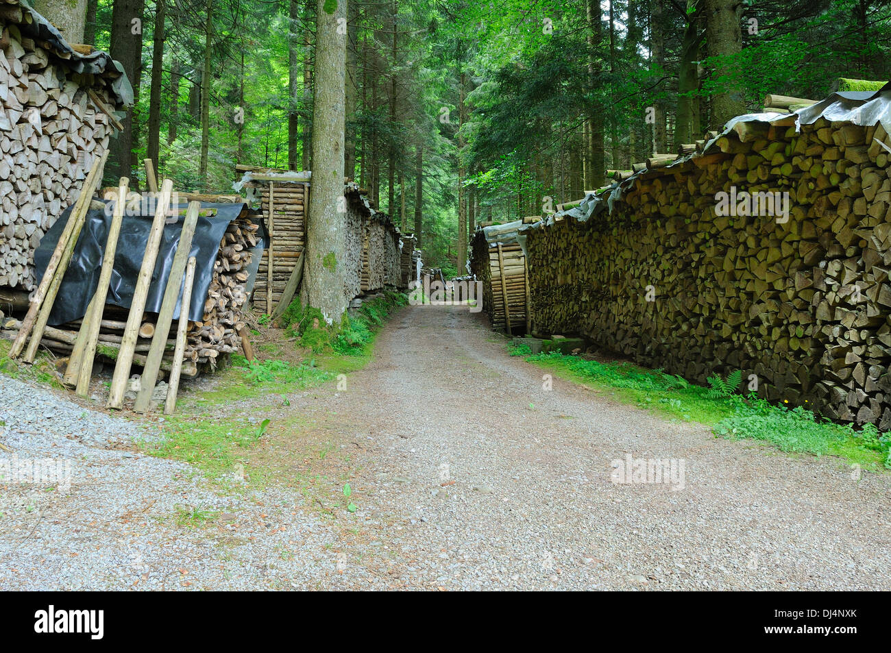 Firewood for stoves hi-res stock photography and images - Alamy