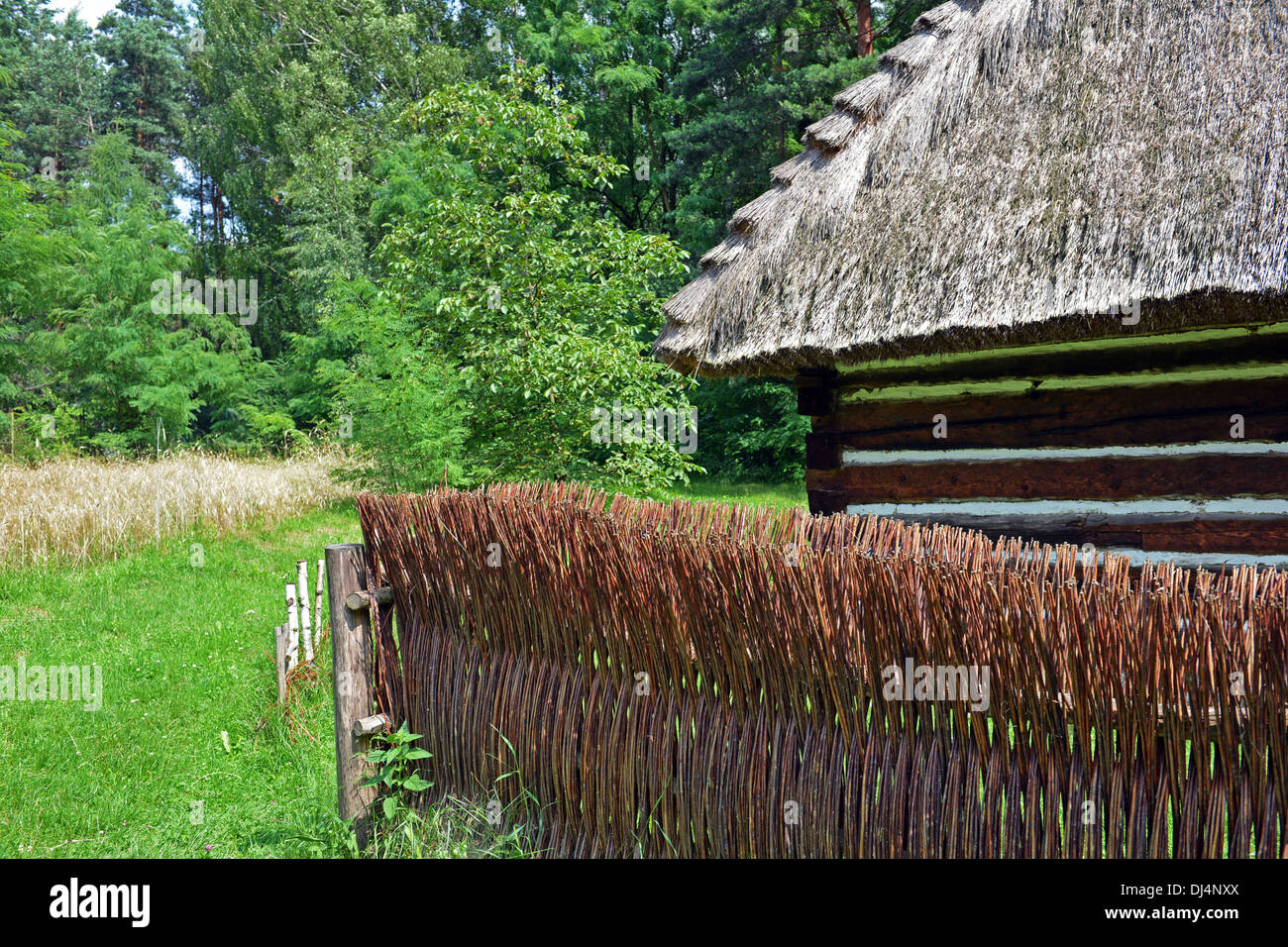 Medieval Old House in Eastern Europe. Thatch Roof - Medieval ...
