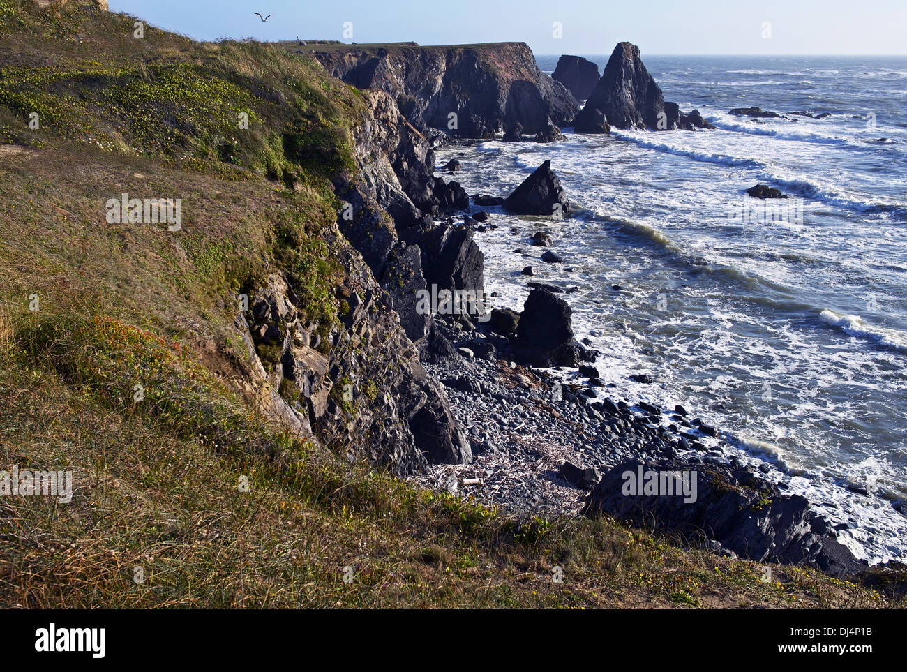 Northern California Coast Landscape in Summer. Pacific Ocean Shore ...