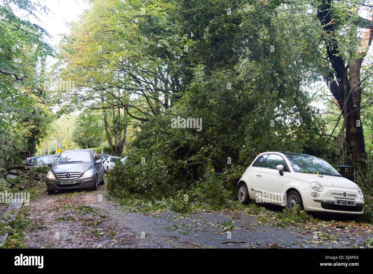 London storm damage hi-res stock photography and images - Alamy