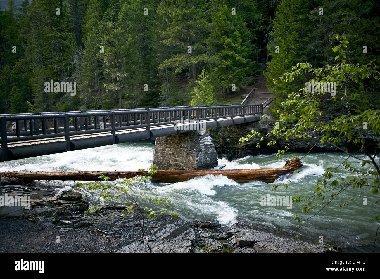 Mountain River Bridge in Montana, USA. Glacier National Park. Montana ...