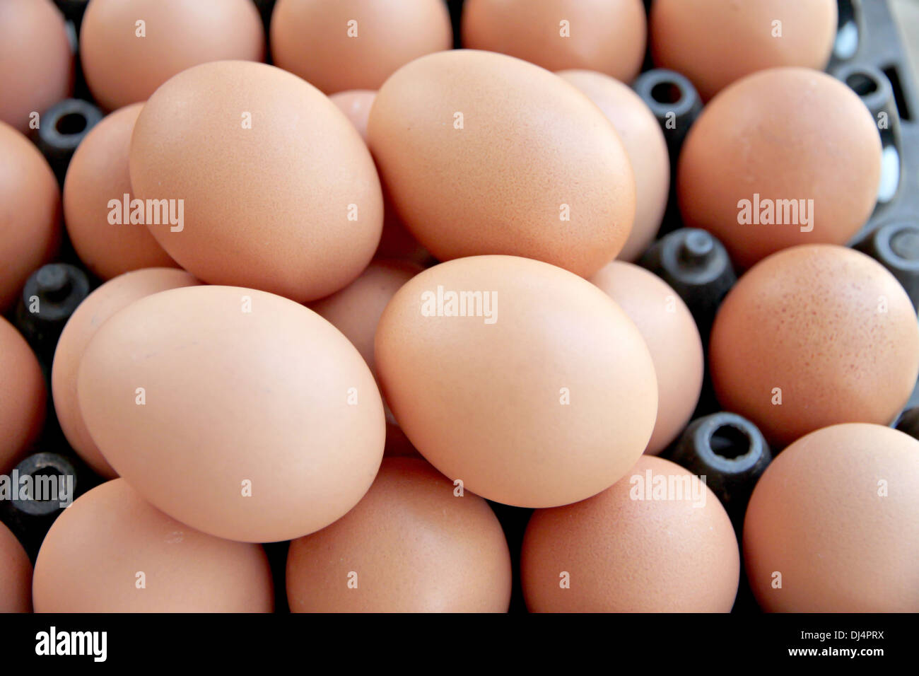 The Picture stack of fresh egg Container box Stock Photo - Alamy