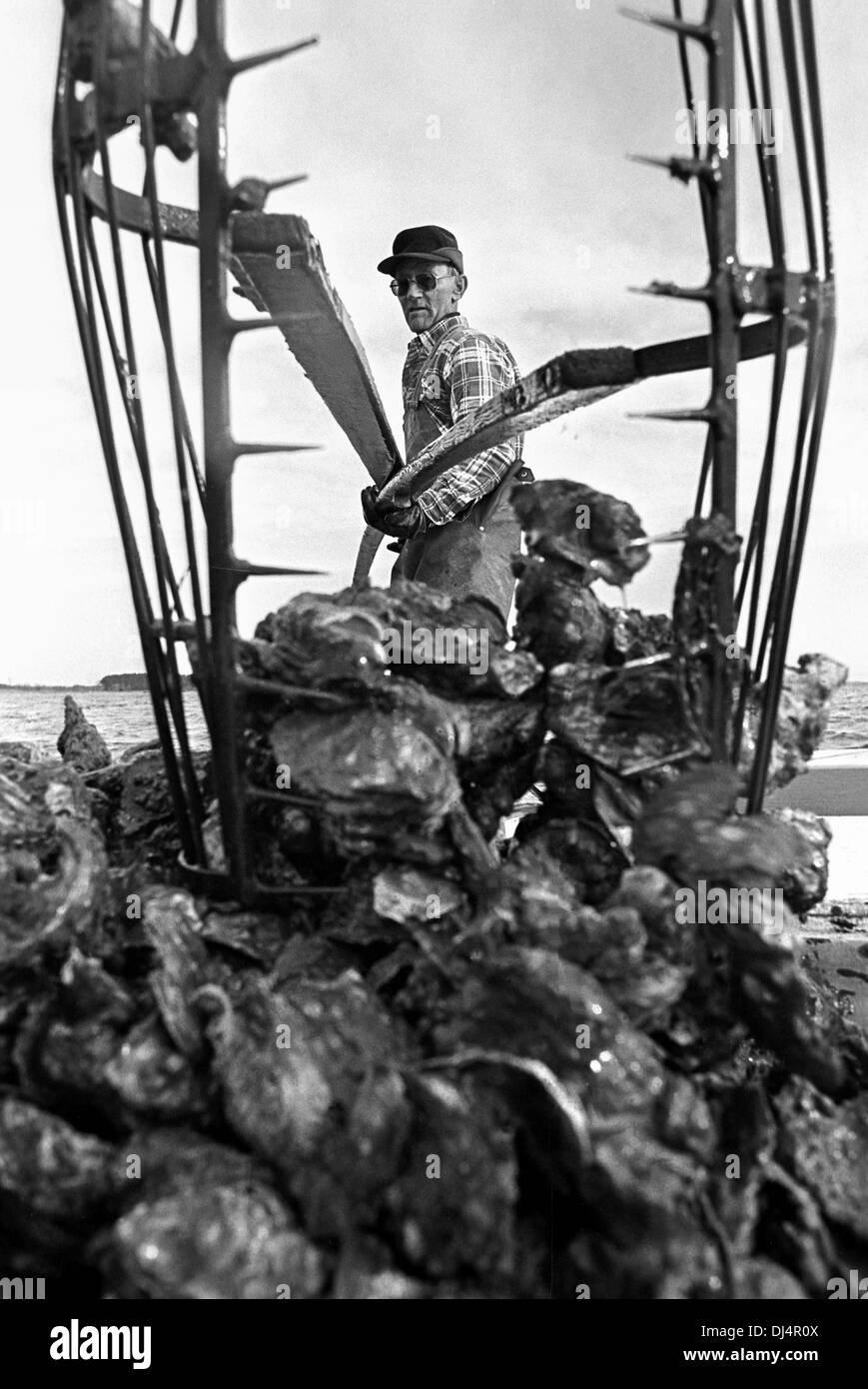 Oysterman chesapeake hi-res stock photography and images - Alamy