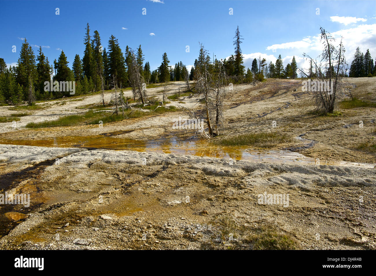 Yellowstone National Park Raw Scenery Stock Photo - Alamy