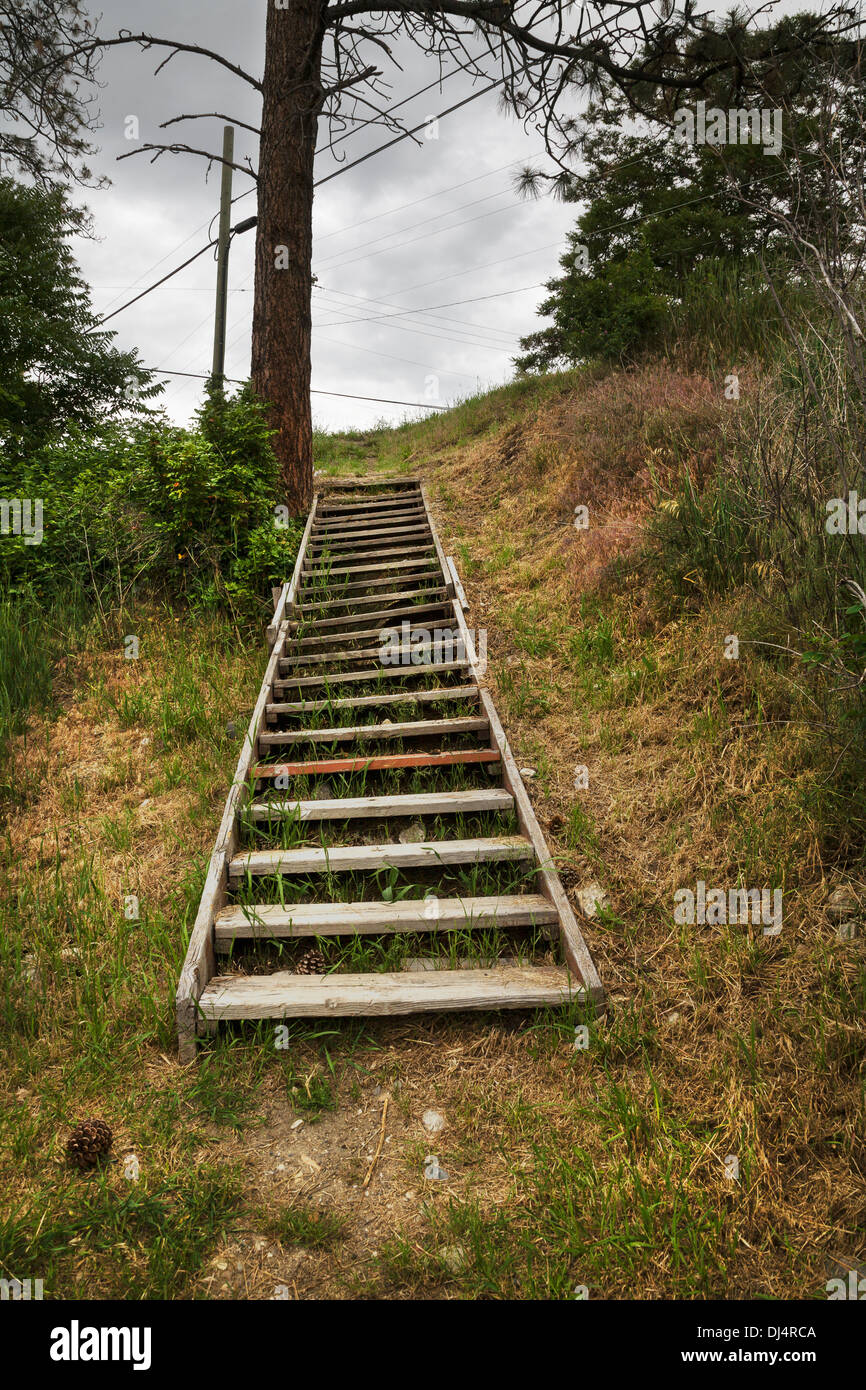 Wooden steps going up hill hi-res stock photography and images - Alamy