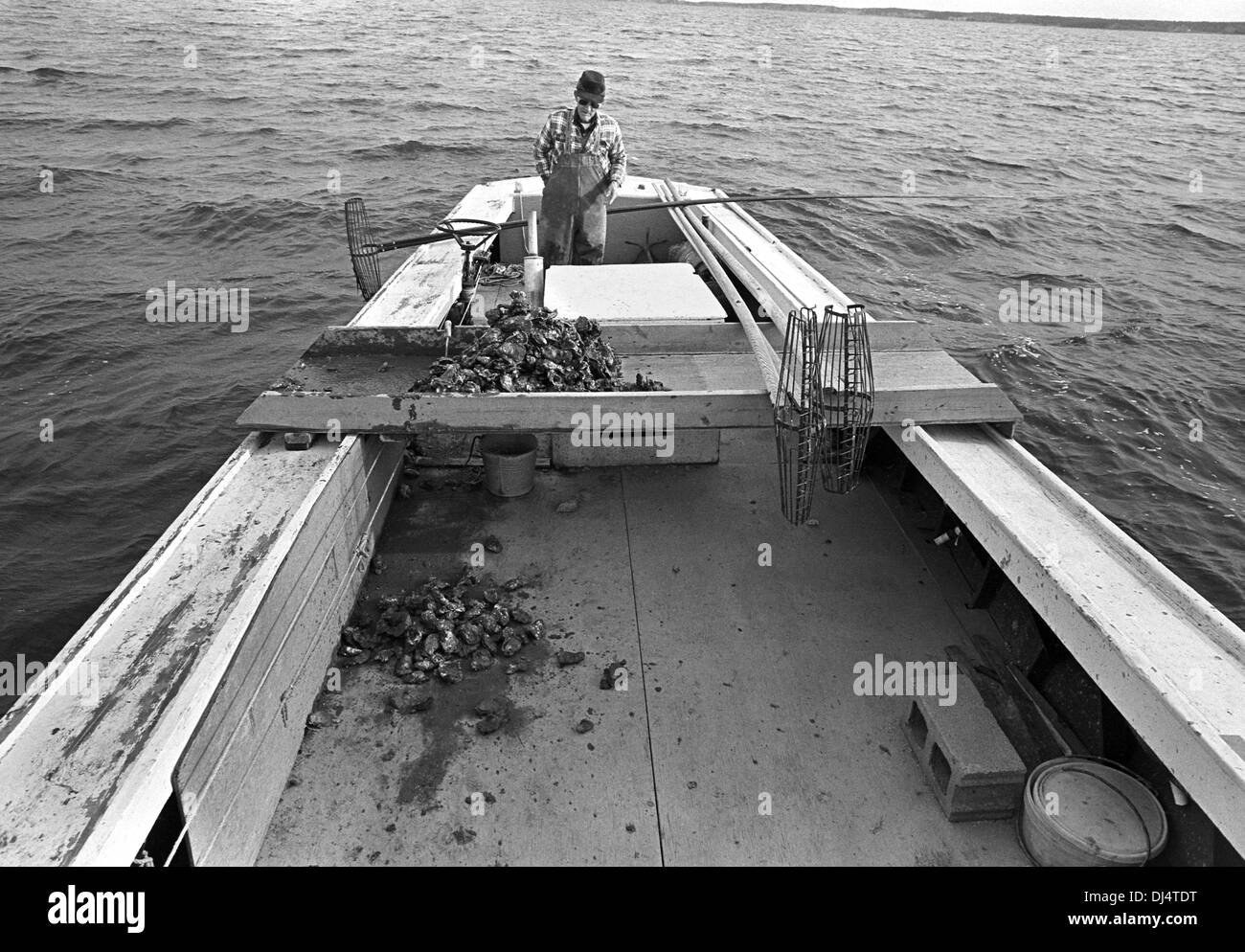 Oysterman hi-res stock photography and images - Alamy