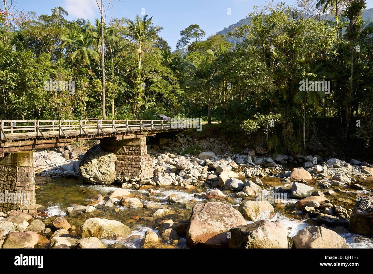 Wooden bridge in the Rainforest Stock Photo - Alamy