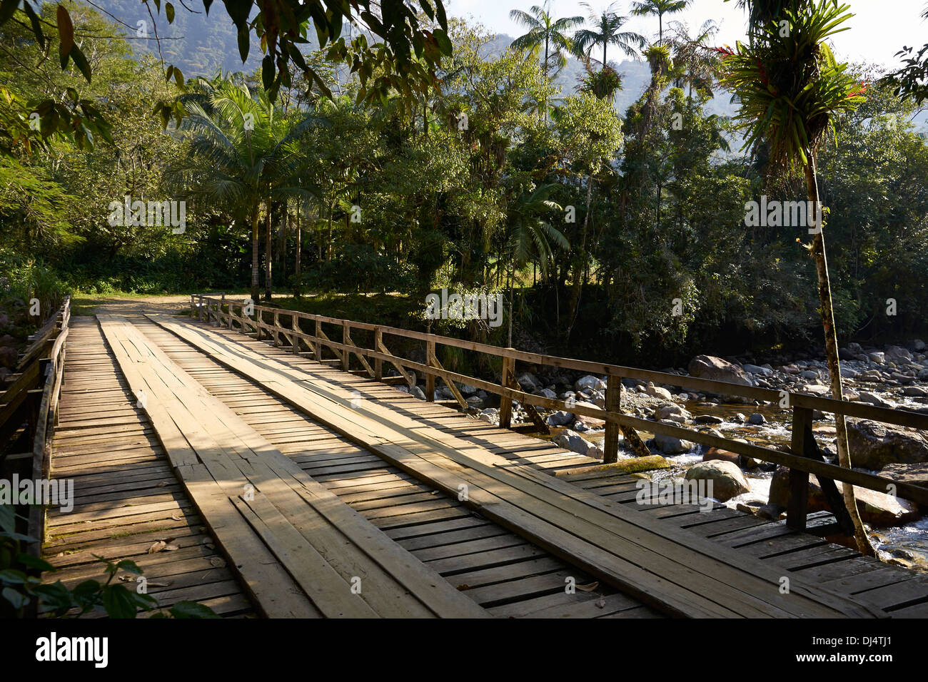 Wooden bridge in the Rainforest Stock Photo - Alamy