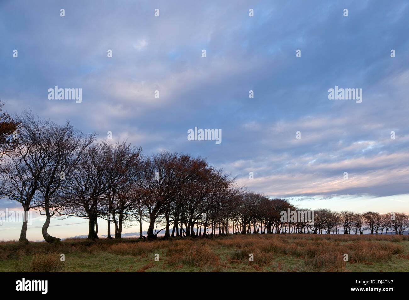 Sunset over Porlock Common, Exmoor National Park, Somerset, England, UK ...