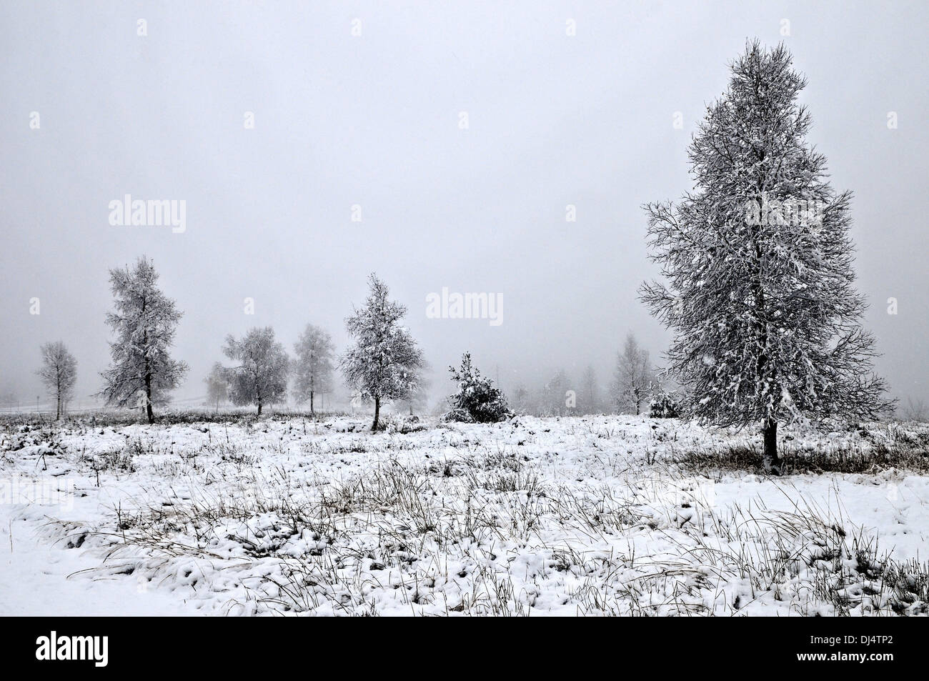 Fog snowing hi-res stock photography and images - Alamy