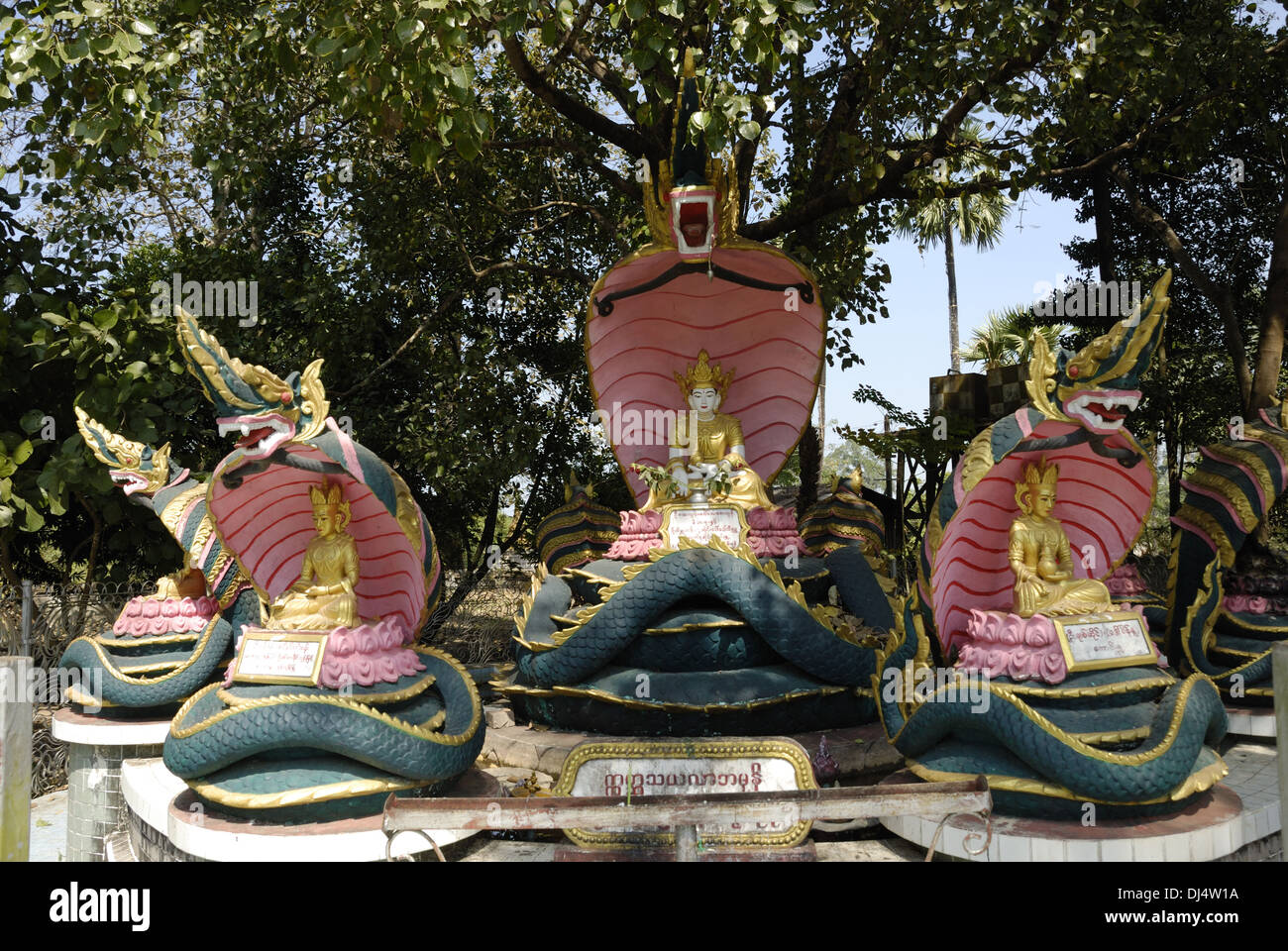 Naga snakes hi-res stock photography and images - Alamy