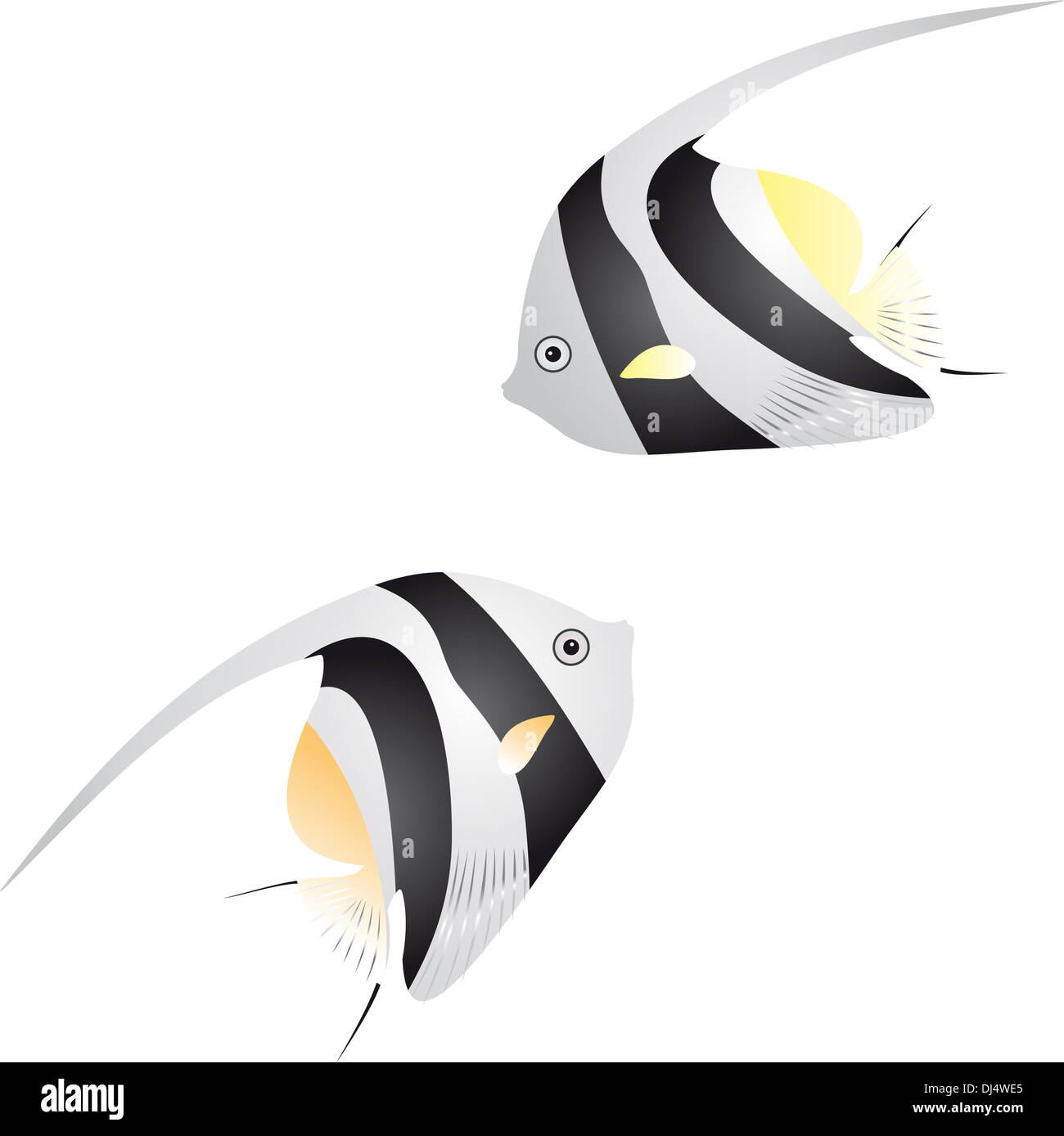 Angelfish cartoon hi-res stock photography and images - Alamy