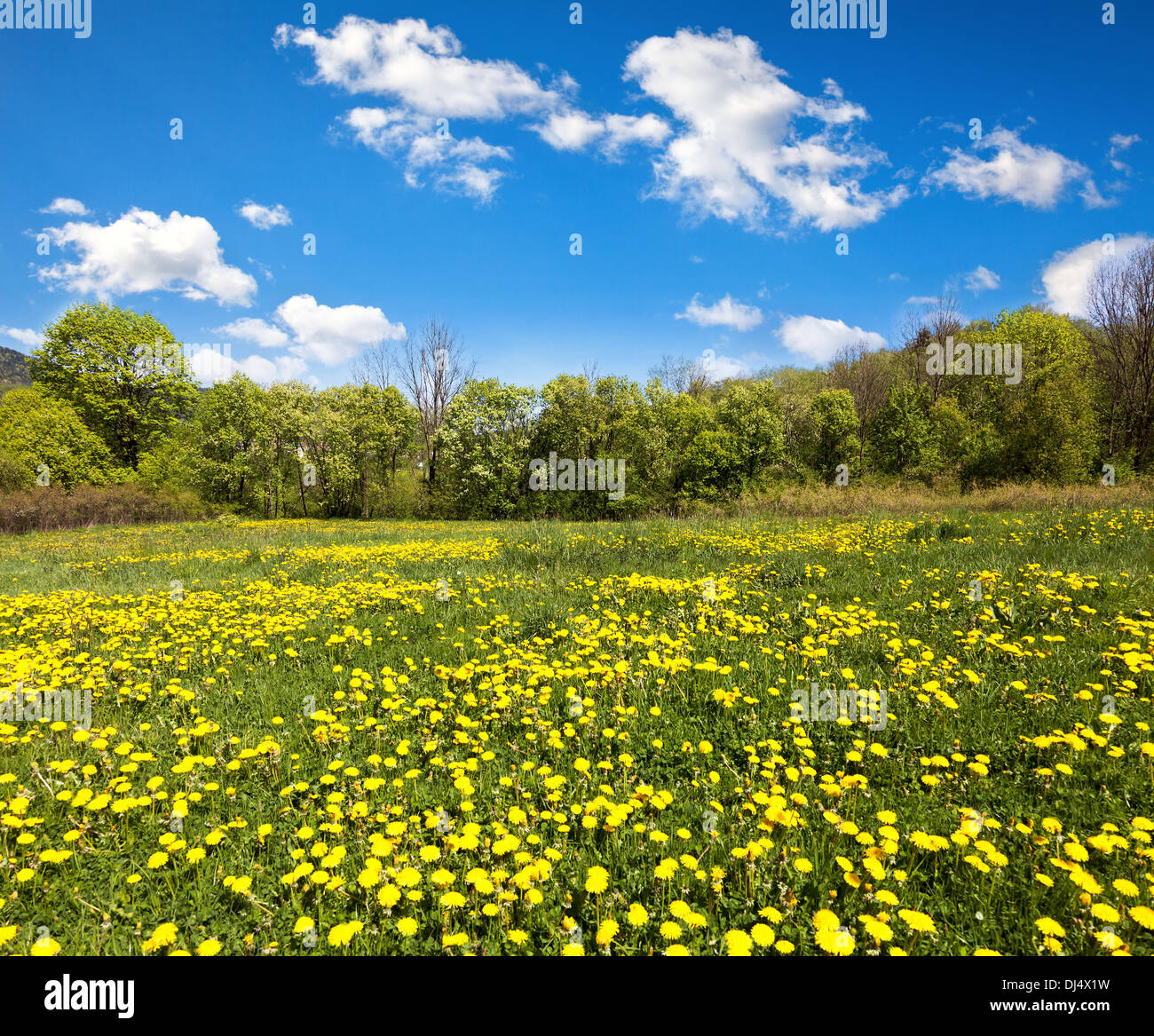 Beautiful spring landscape Stock Photo - Alamy
