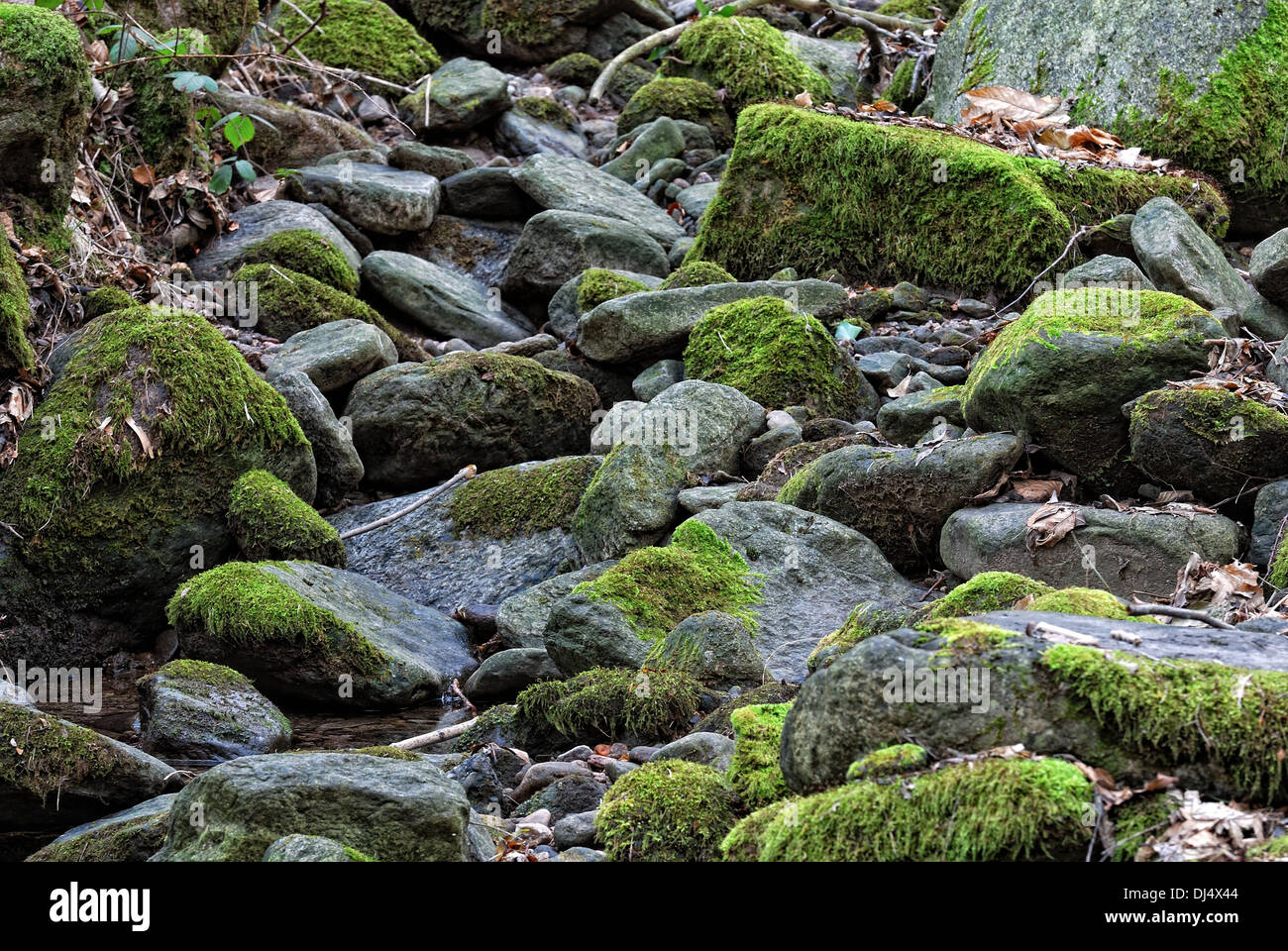 Almost horizontal hi-res stock photography and images - Alamy