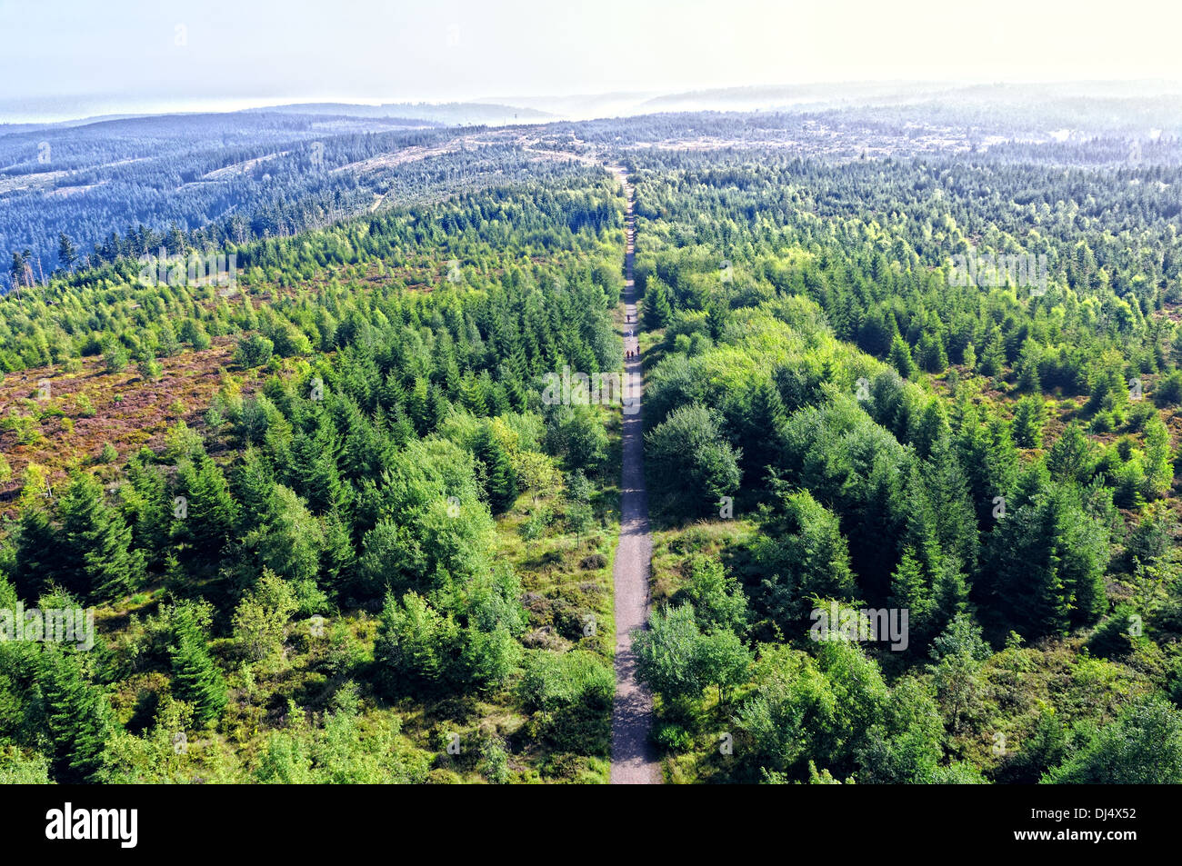 Black Forest Heights Germany Stock Photo - Alamy