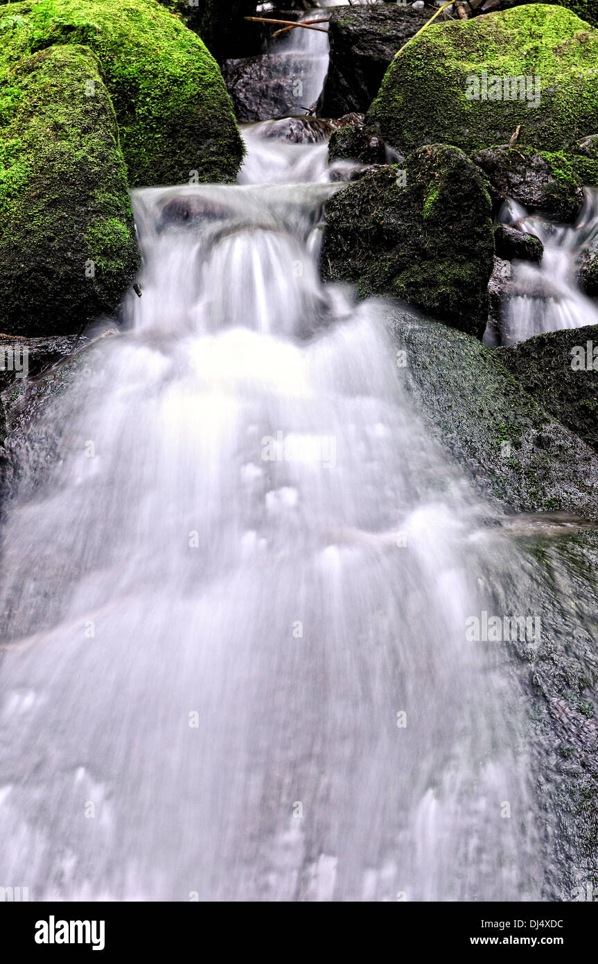 Wet carpet hi-res stock photography and images - Alamy