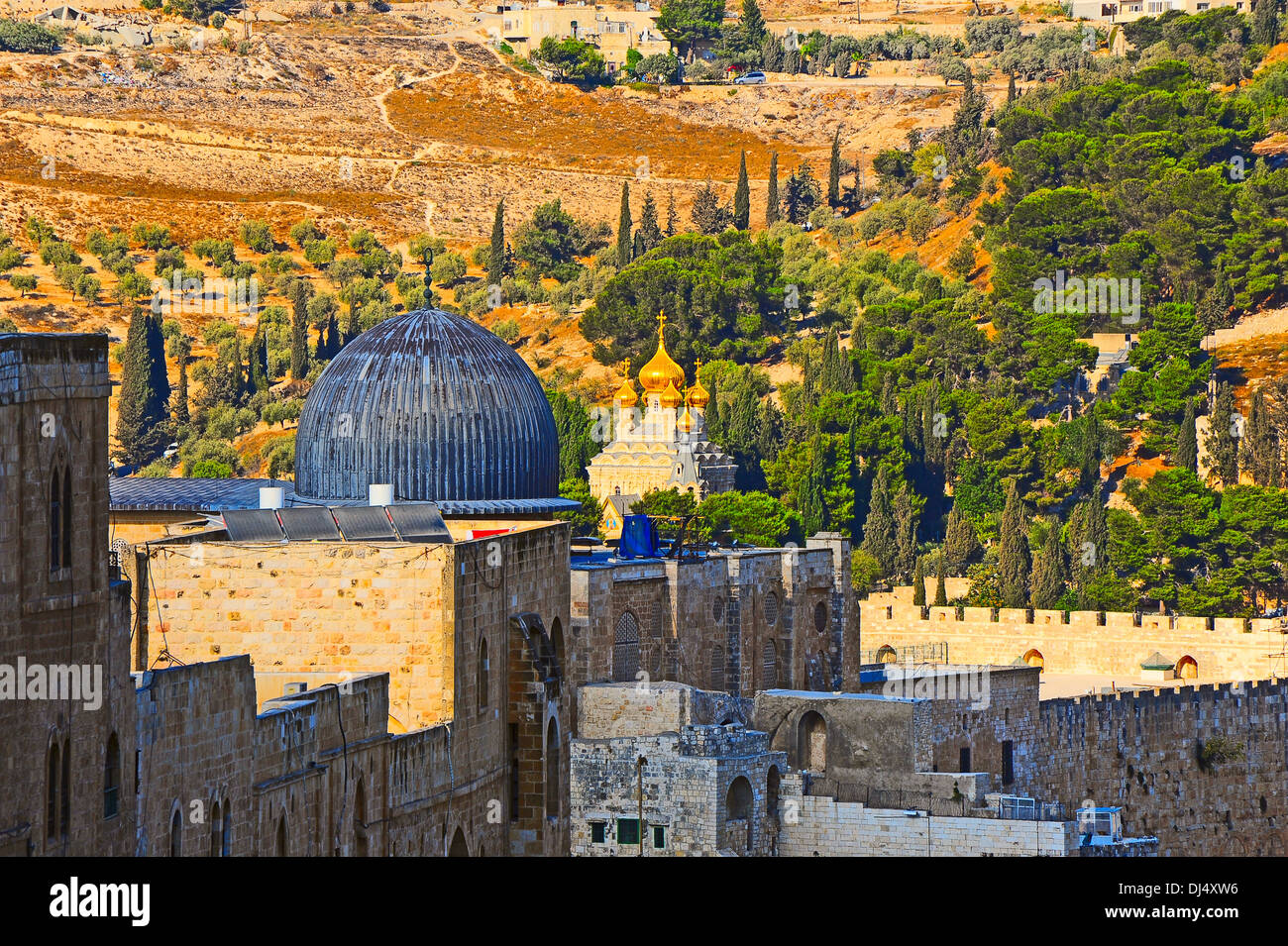 Jerusalem olive tree arch hi-res stock photography and images - Alamy