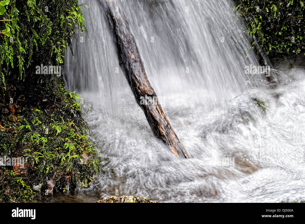 Wood in a waterfall Stock Photo - Alamy