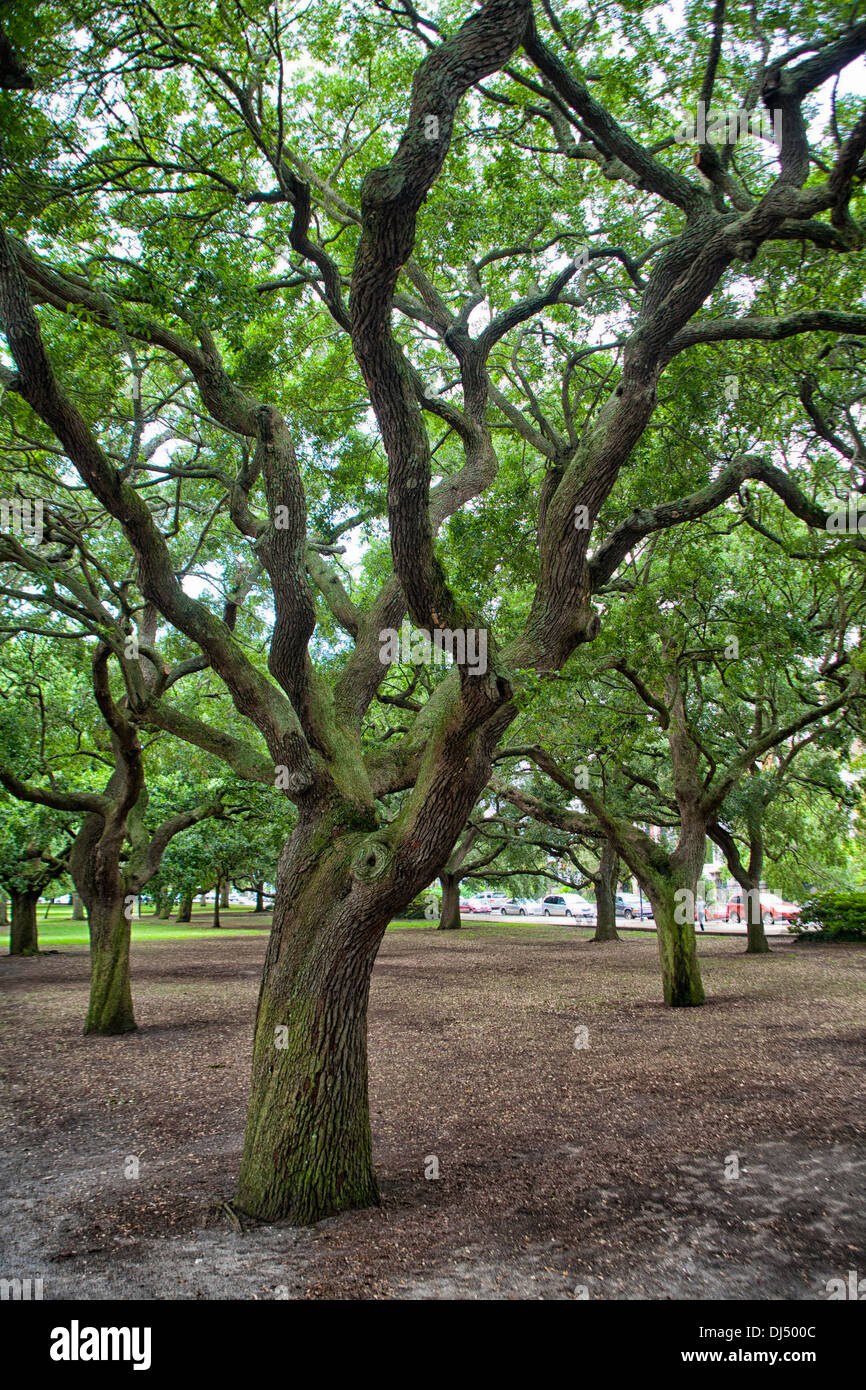 White point gardens at the battery charleston sc hi-res stock ...
