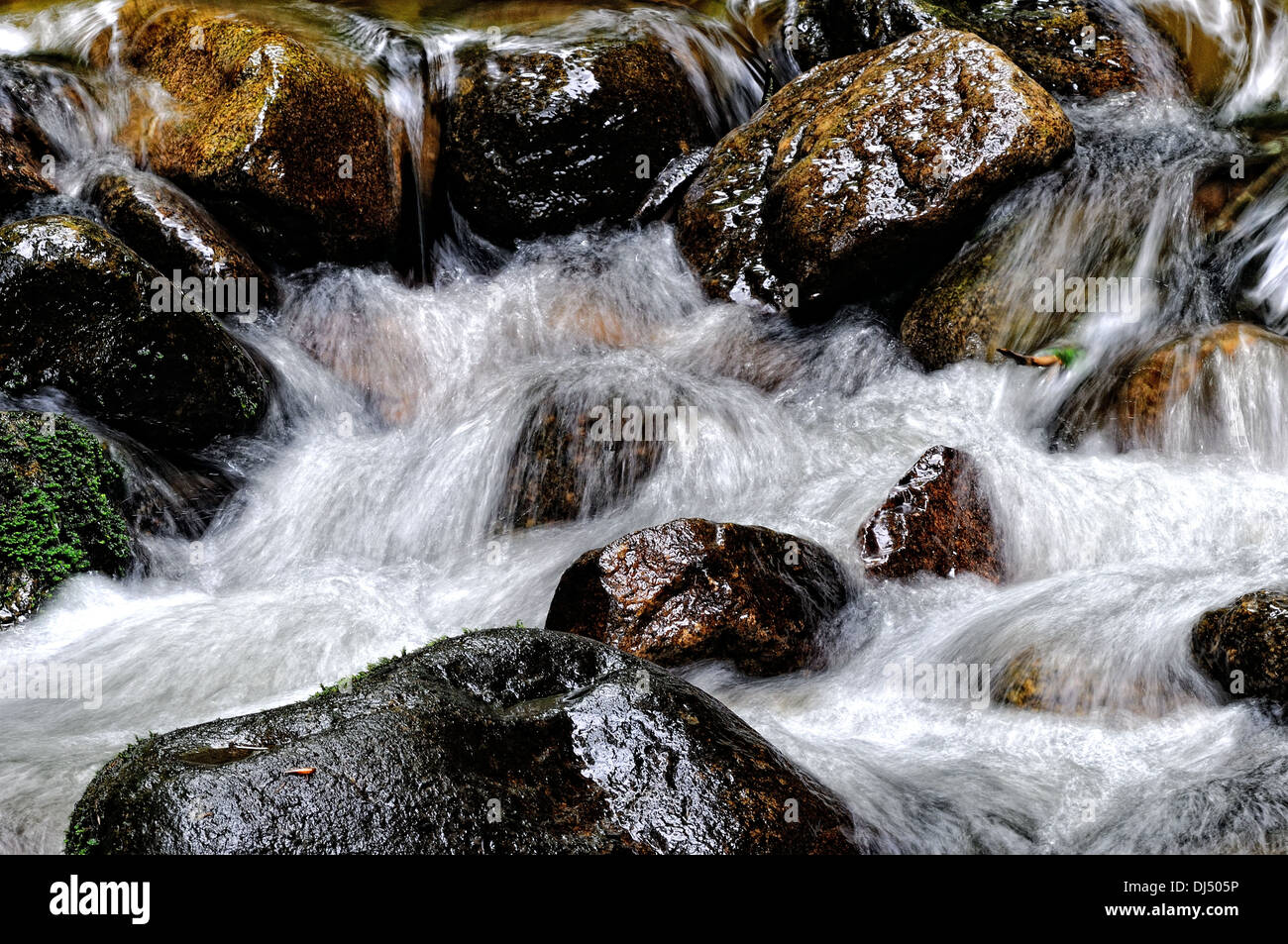 Slippery and wet by the waterfall Stock Photo - Alamy