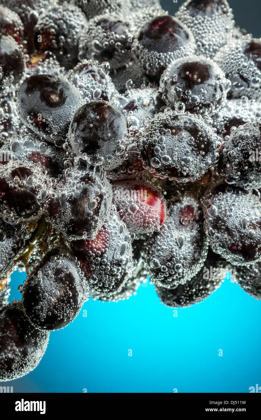 Fresh fruit covered in bubbles Stock Photo - Alamy