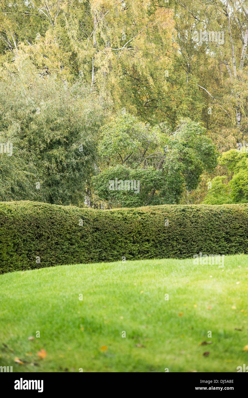 Green grass lawns hi-res stock photography and images - Alamy