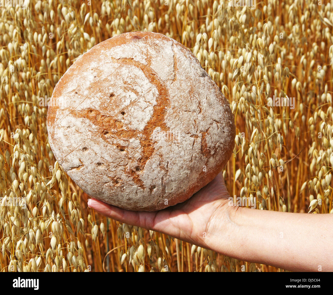 Bread and Cereals Stock Photo - Alamy