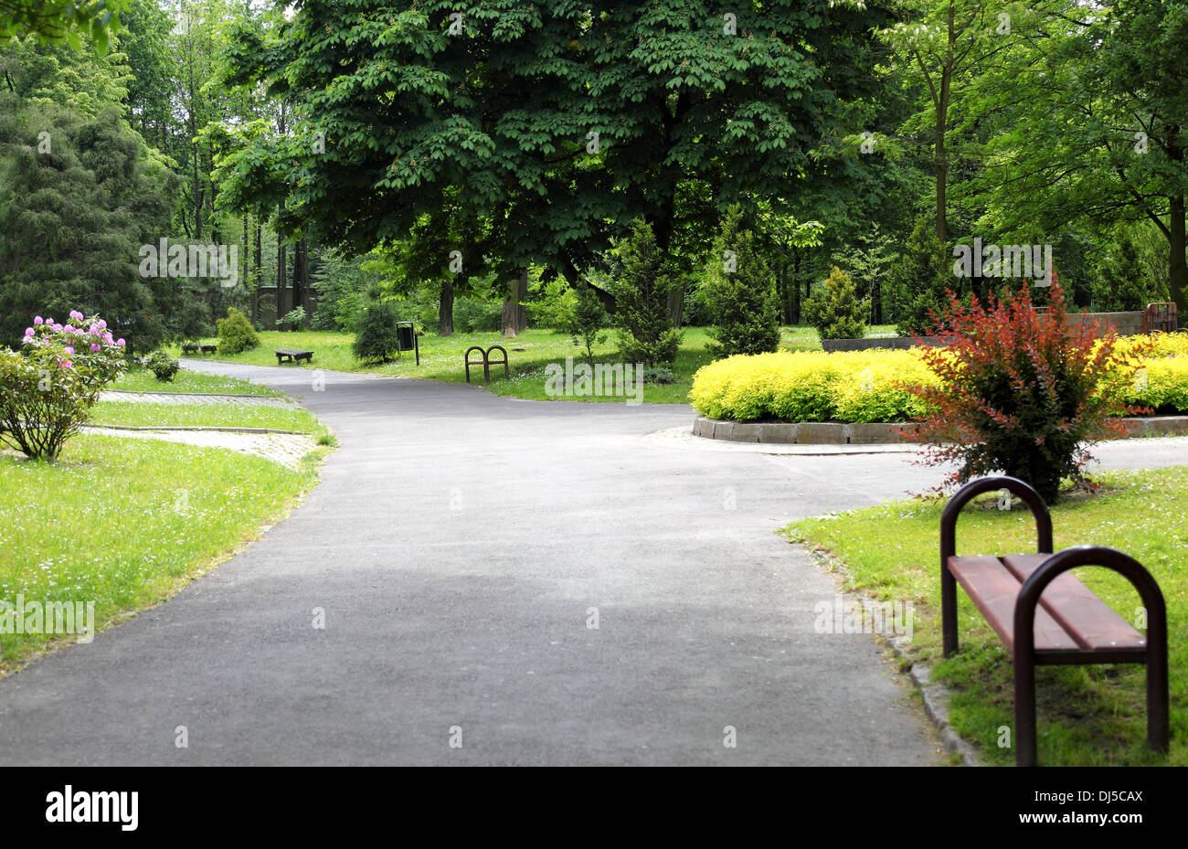 Peaceful park in the city Stock Photo - Alamy