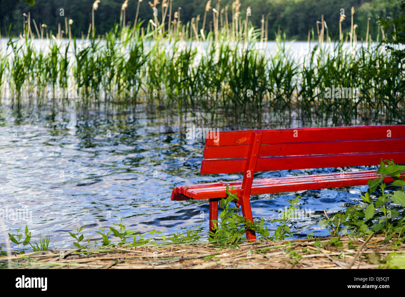 Lake bench on shore hi-res stock photography and images - Alamy