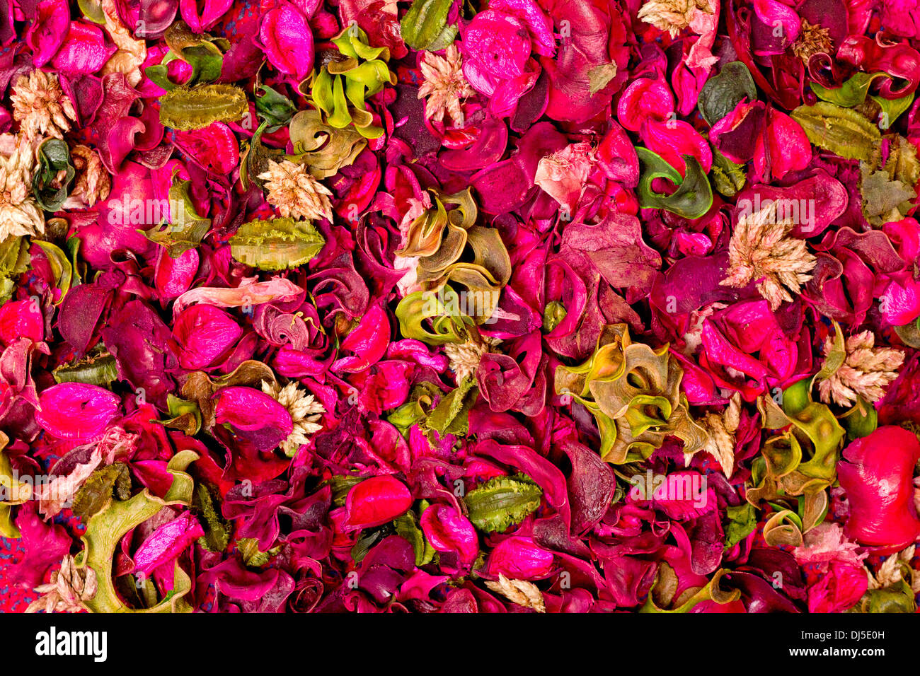 rich texture of bright colorful carpet of flowers Stock Photo - Alamy