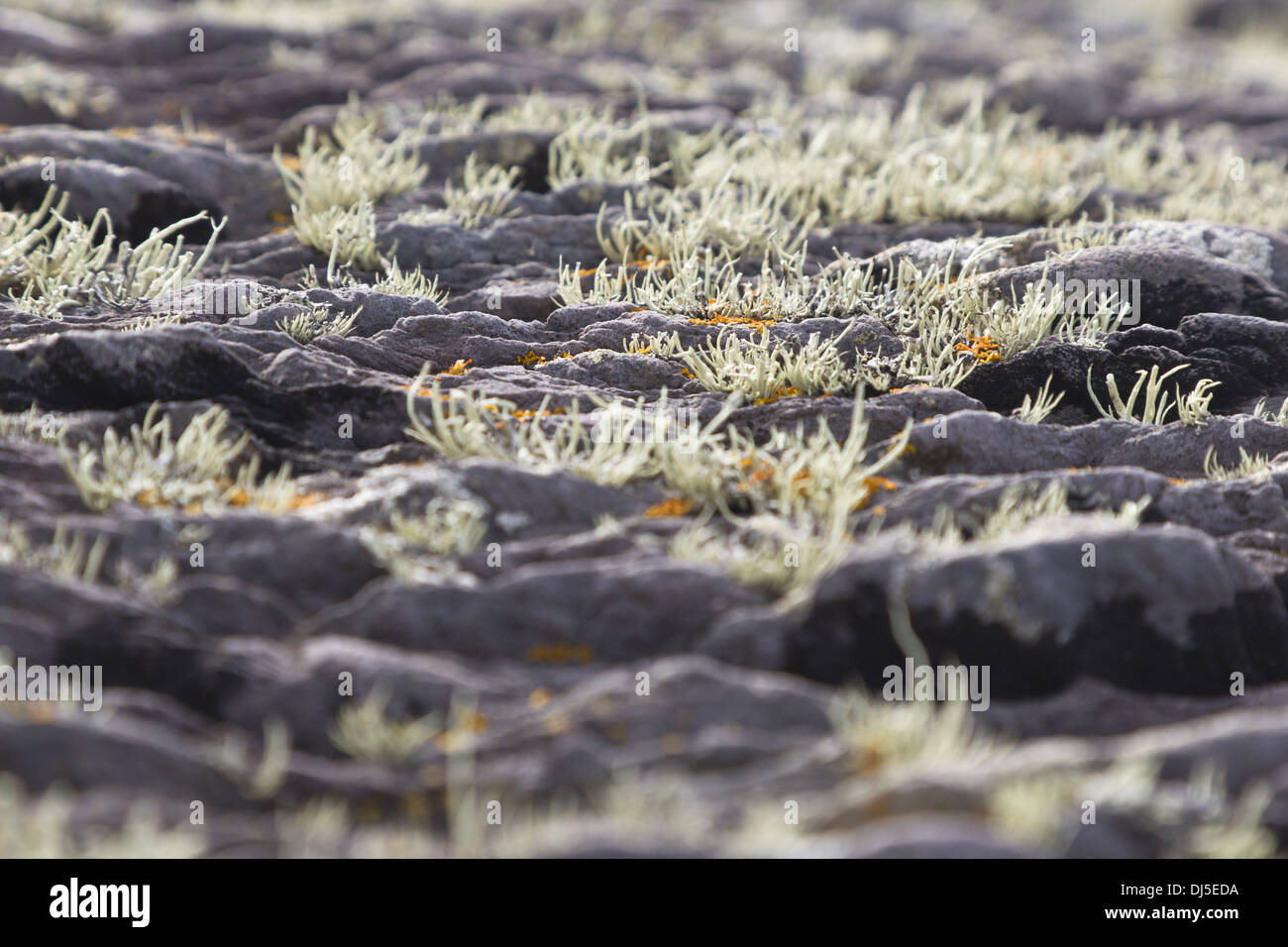 Weathered rocks hi-res stock photography and images - Alamy
