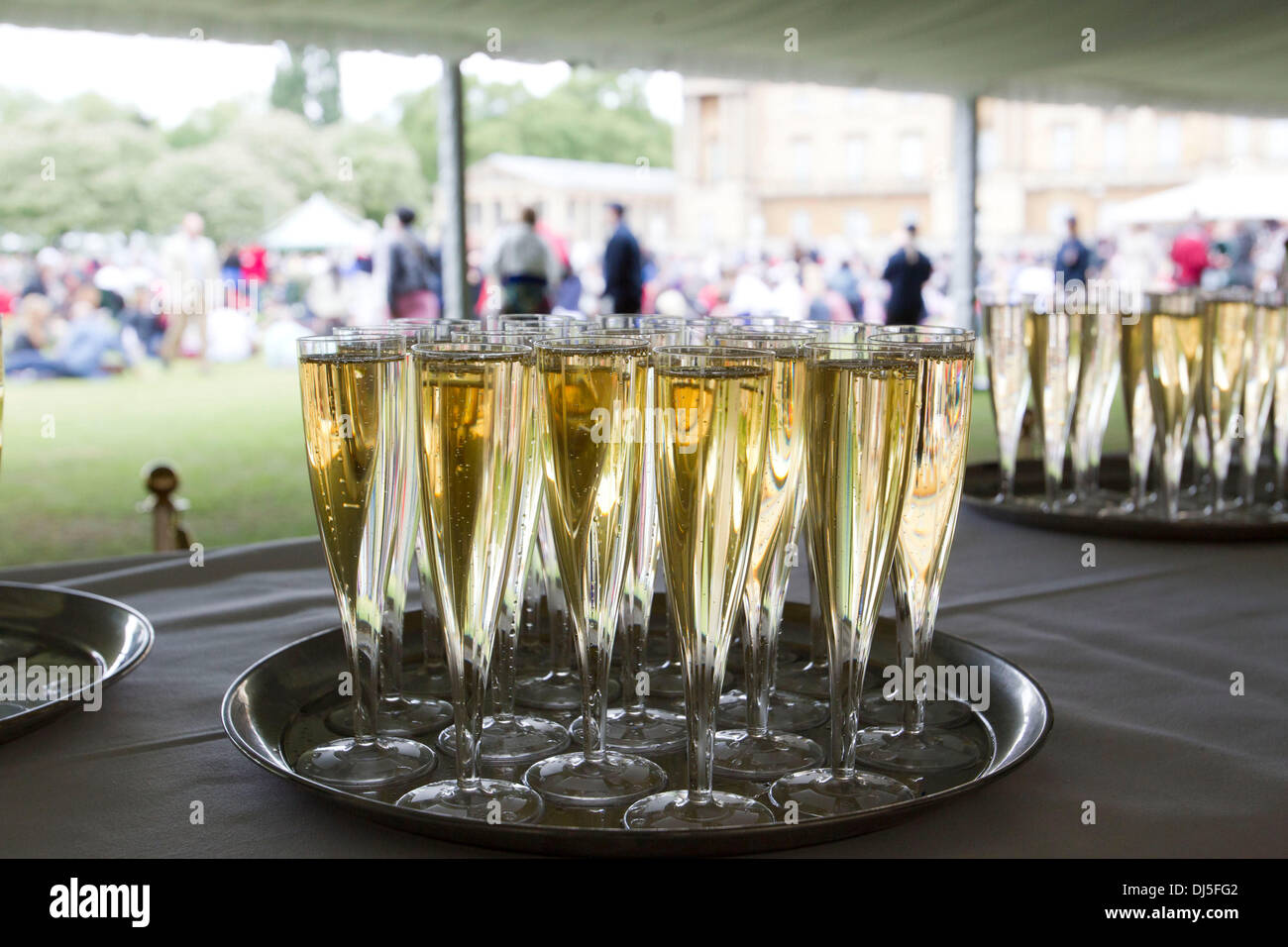 Atmosphere A picnic is held in the gardens of Buckingham Palace in ...