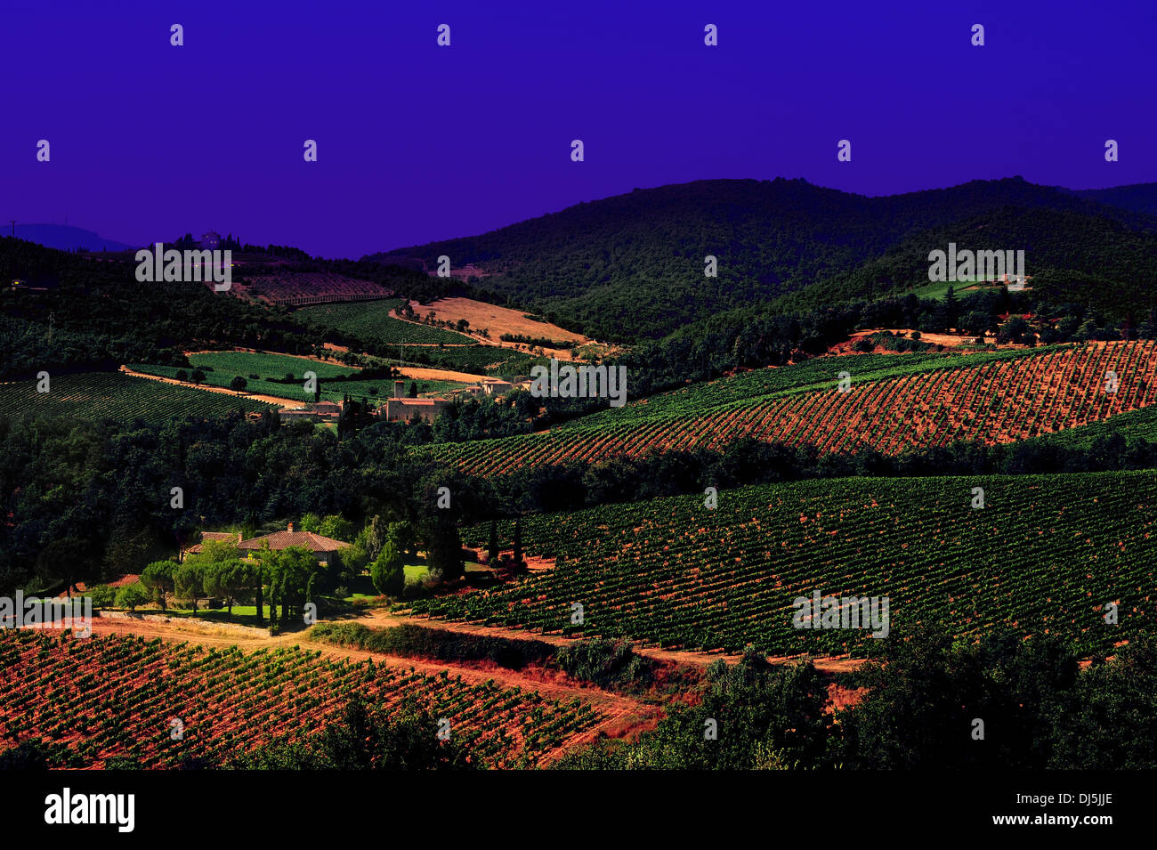 Midnight tree line hi-res stock photography and images - Alamy