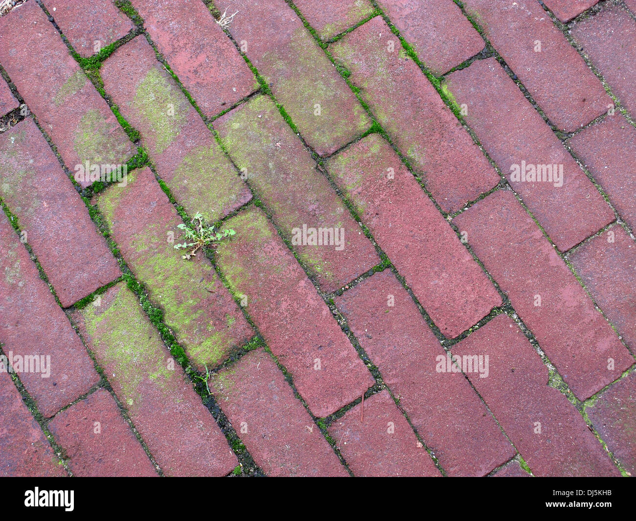 Pavement tiles hi-res stock photography and images - Alamy