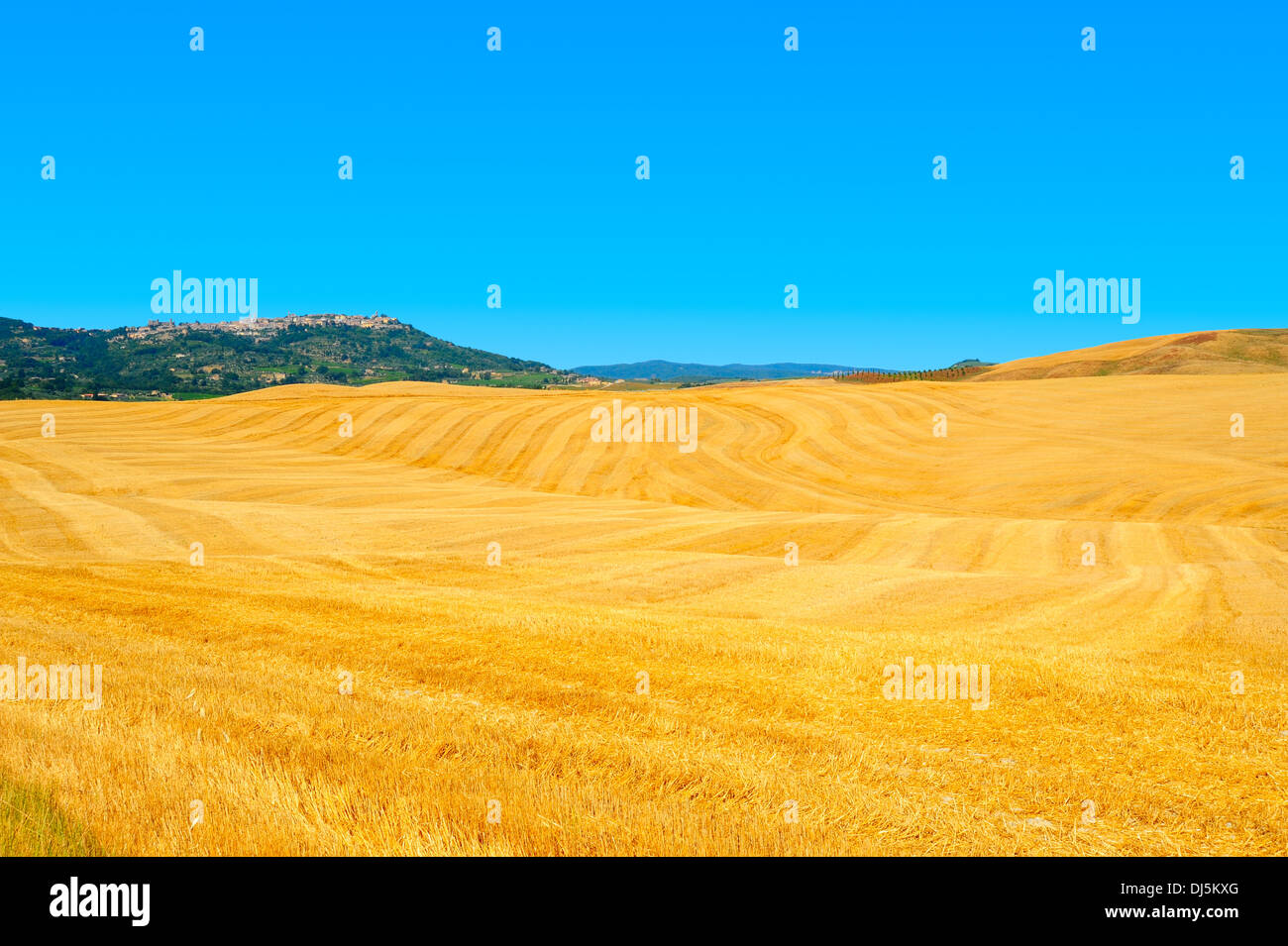 Medieval seed hi-res stock photography and images - Alamy