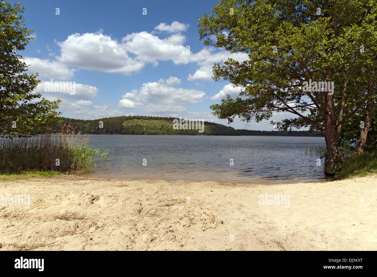 Beach on Springlake Stock Photo - Alamy