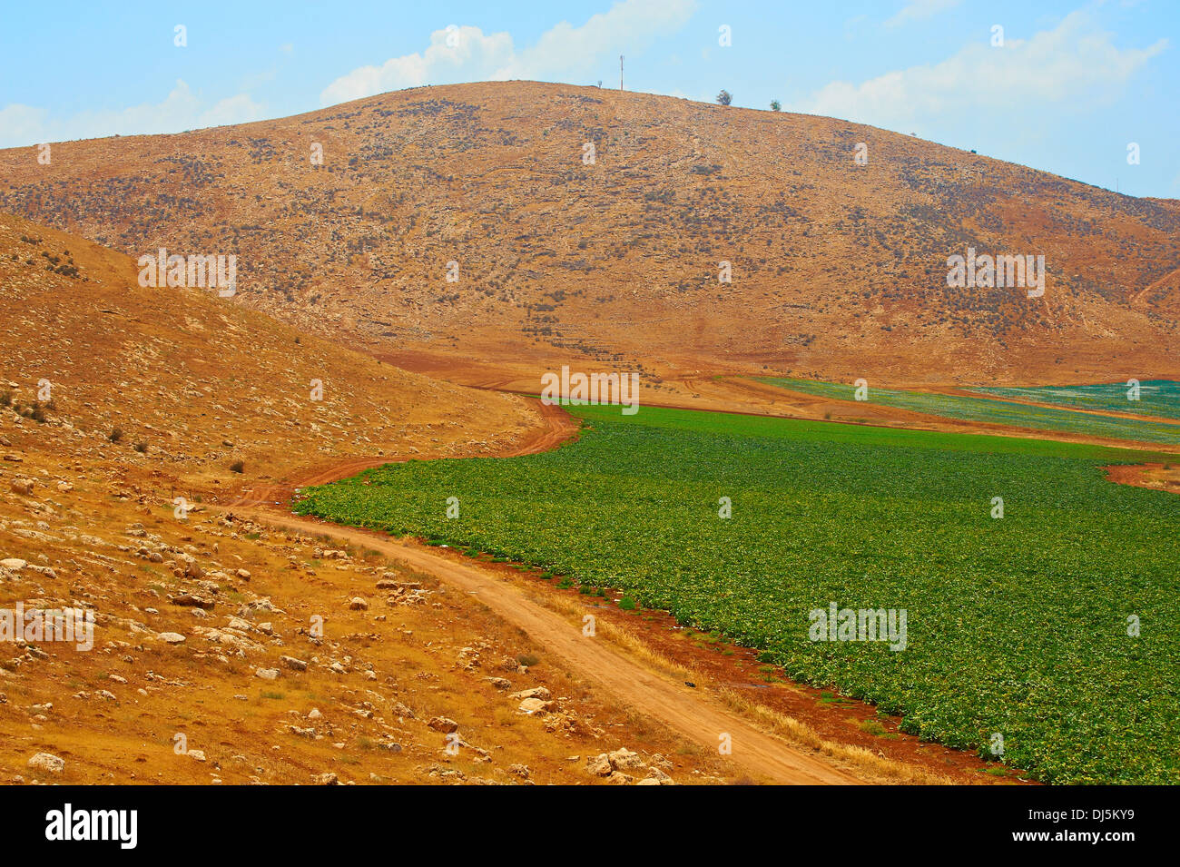 Hills of Samaria Stock Photo - Alamy