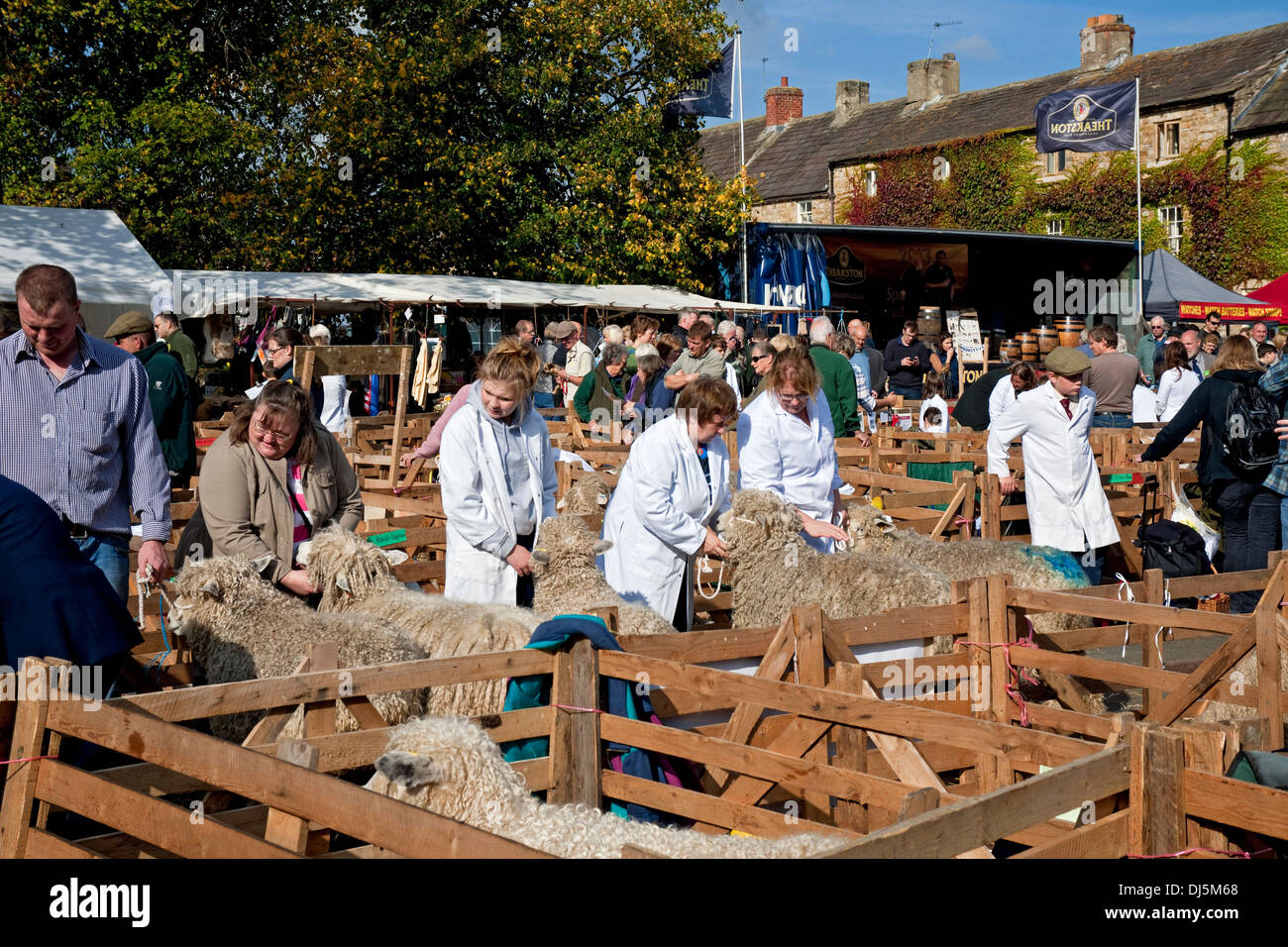 Farmers and their sheep in pens at the annual Masham village Sheep Fair ...