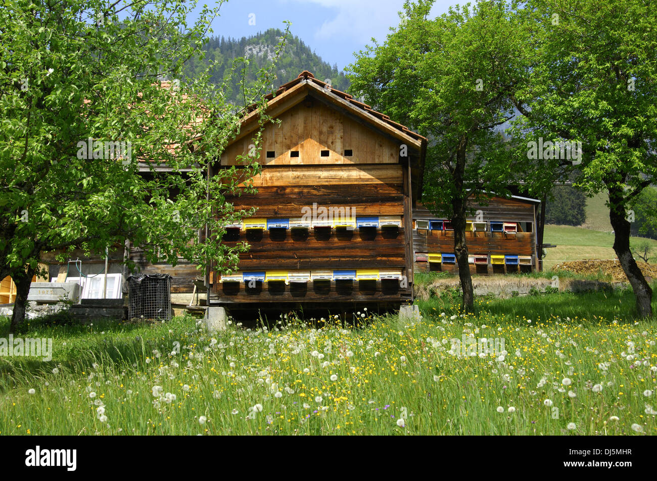 Bee house hi-res stock photography and images - Alamy