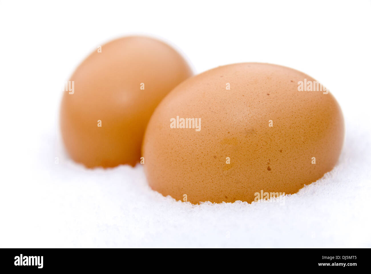 Eggs in snow Stock Photo - Alamy