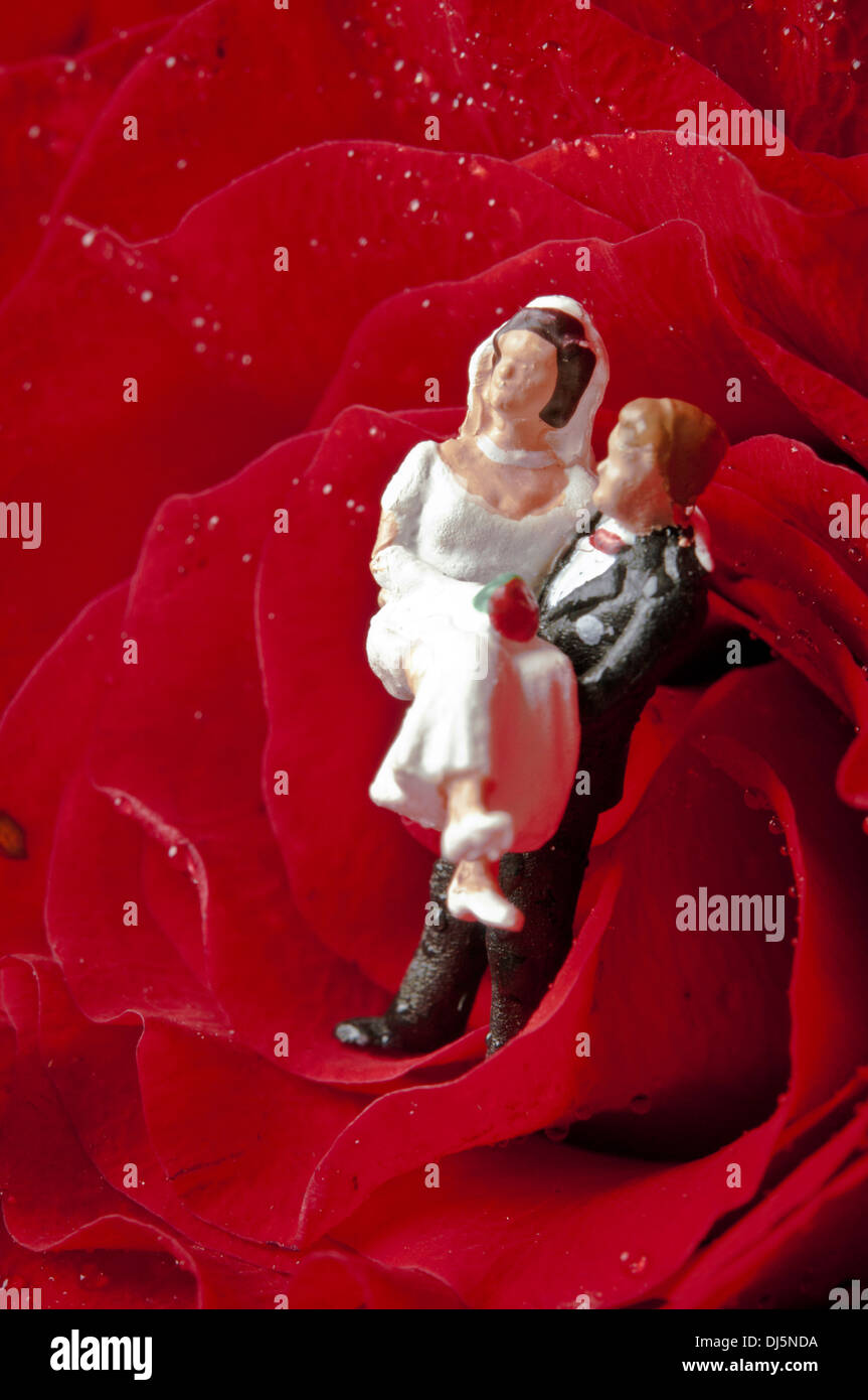 bride and groom on a red rose Stock Photo - Alamy