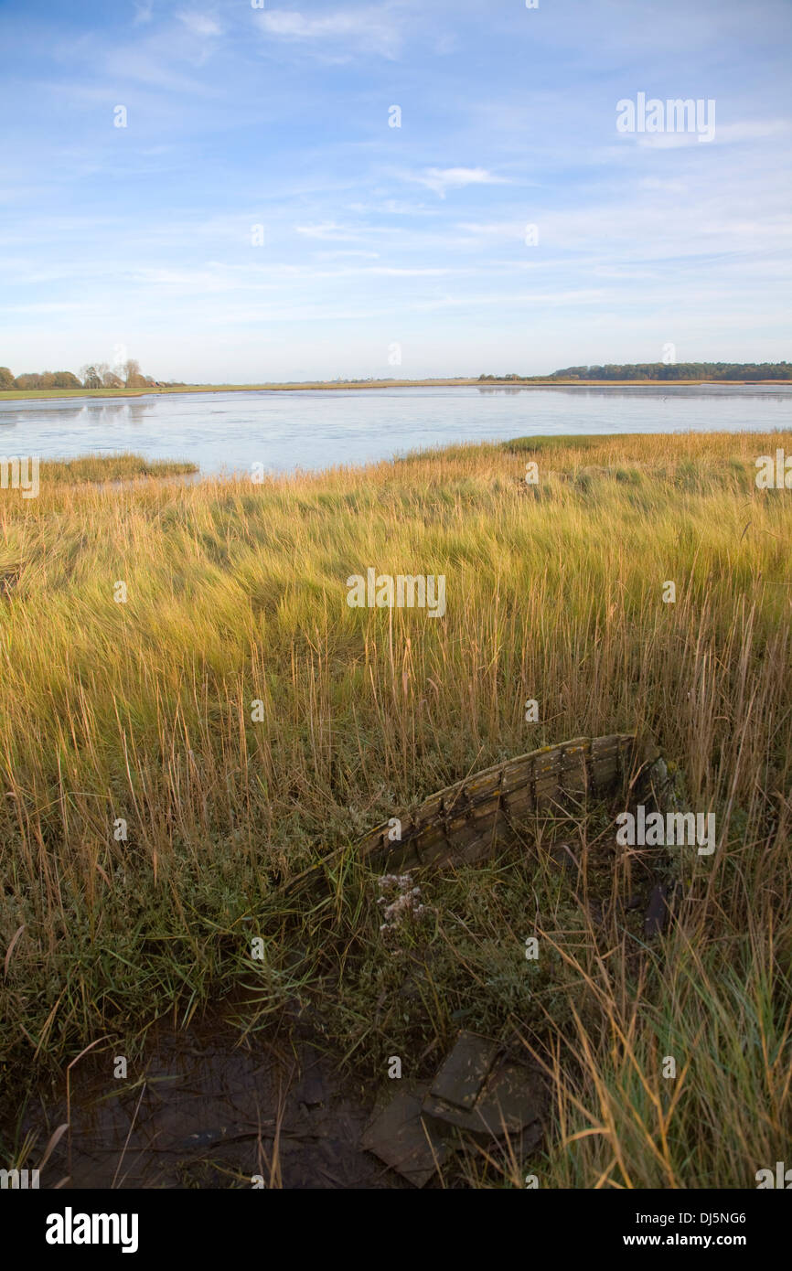 England sediment silt marsh plants habitat wet water hi-res stock ...