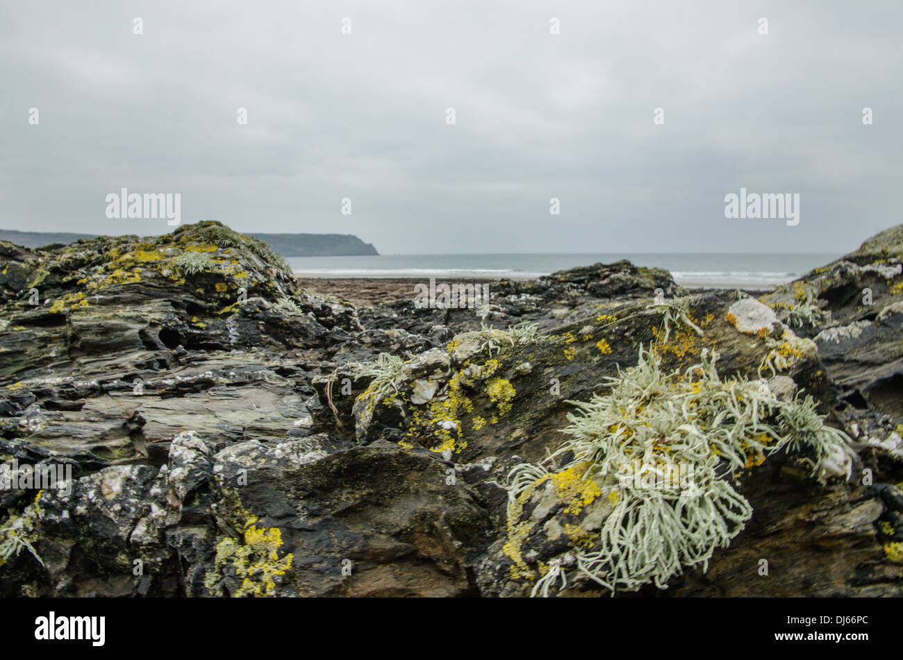 Rocks and lichen infront of the of the Nare headland; (behind ...