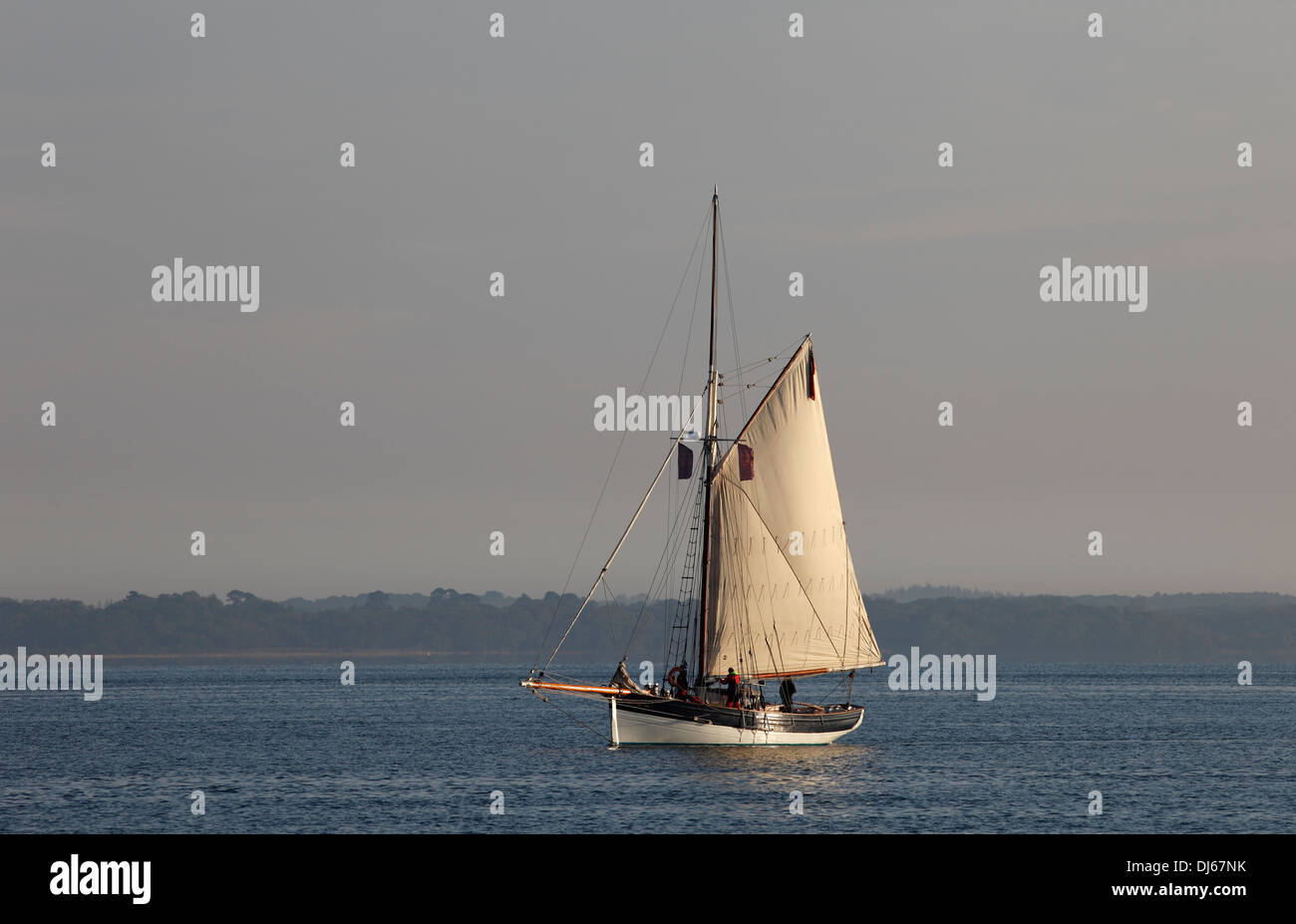 Sloop on the Solent sea Solent Isle of Wight Hampshire England Stock ...