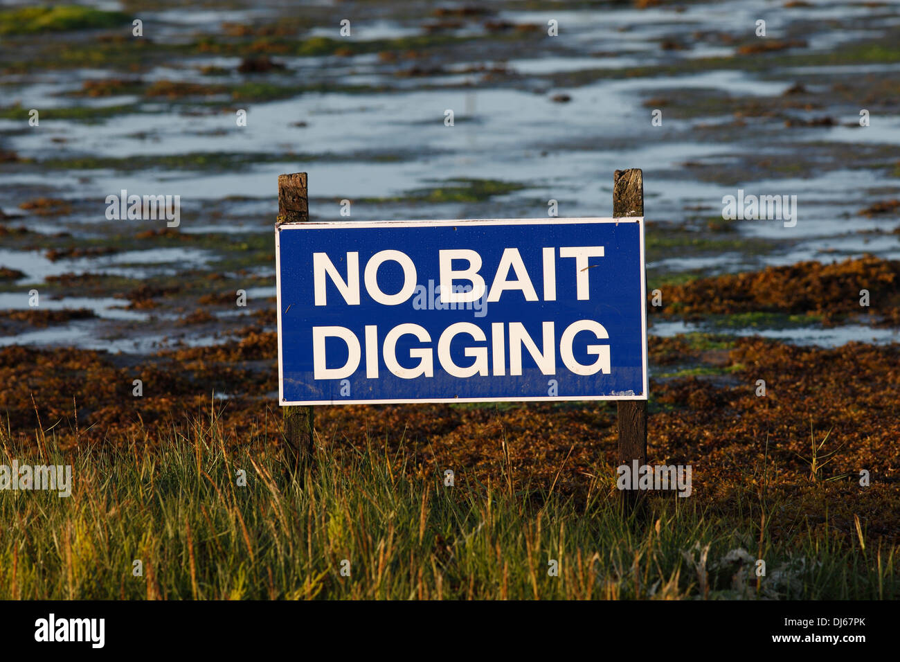 No bait digging sign river Yar estuary Yarmouth Isle of Wight Hampshire ...