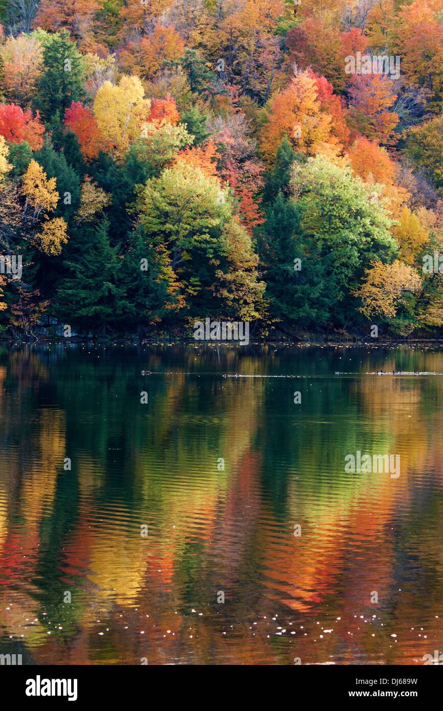 Beautiful lake reflection in Quebec-Canada Stock Photo - Alamy