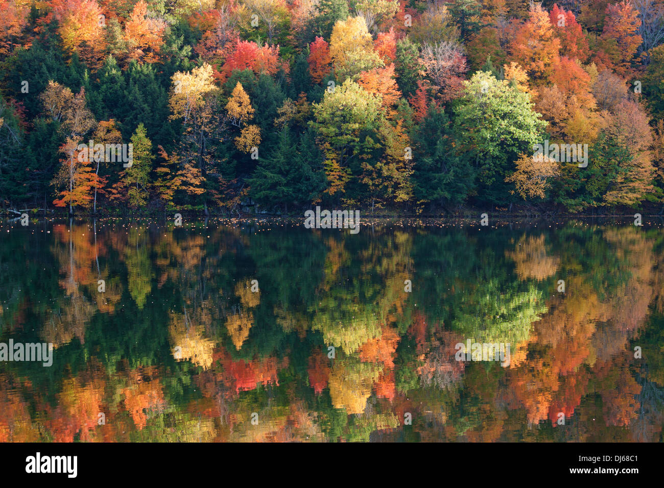 Beautiful lake reflection in Quebec-Canada Stock Photo - Alamy